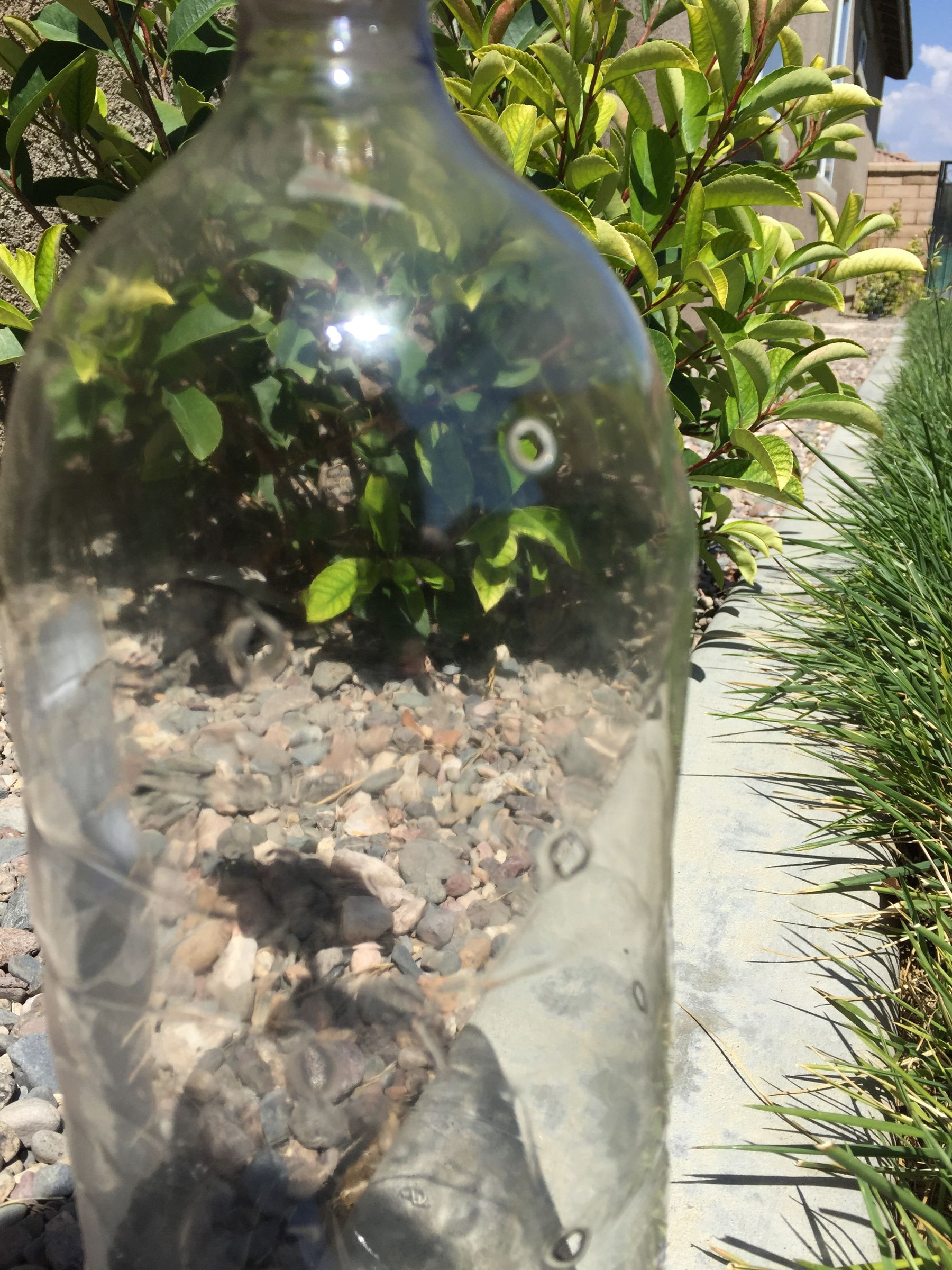 Hidden Plastic Bottle Watering System - Instructables