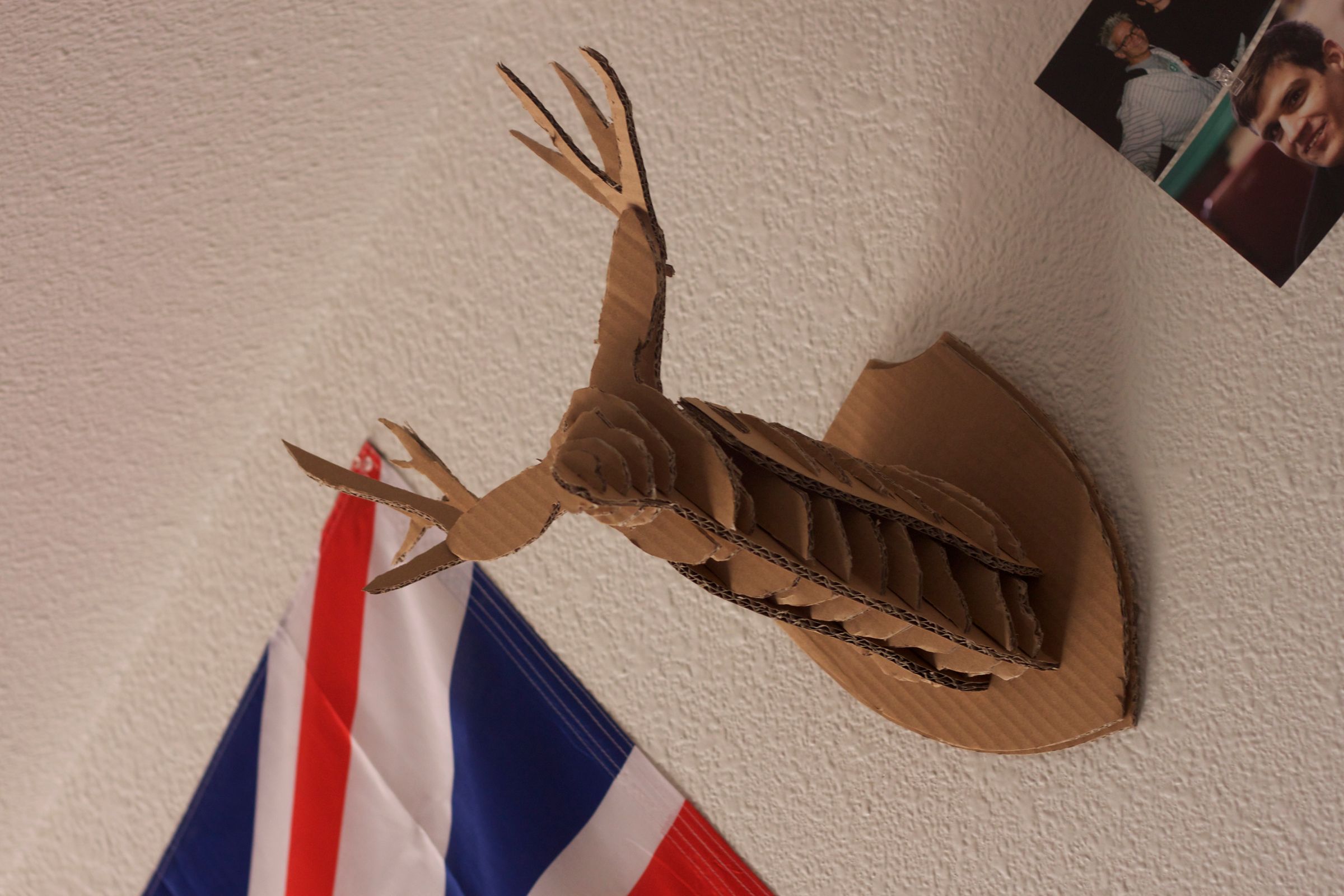 DIY Cardboard Deer Head : 5 Steps (with Pictures) - Instructables