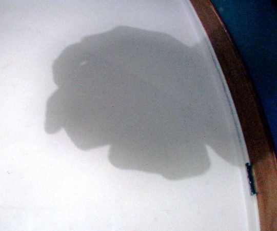 Basic Shadow Puppets : 4 Steps - Instructables