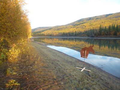 Portable, Controllable, Double-sided Moose Decoy : 7 Steps - Instructables
