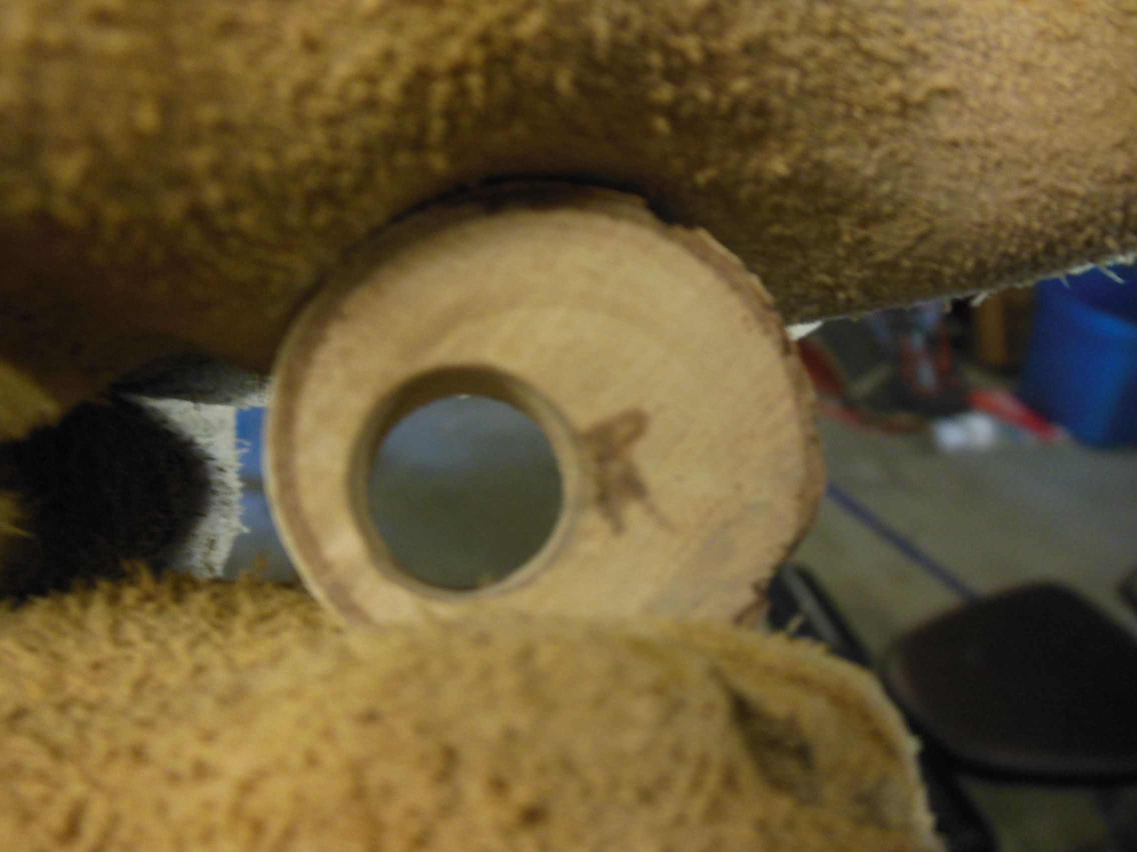 DIY: Wooden Ring : 5 Steps (with Pictures) - Instructables