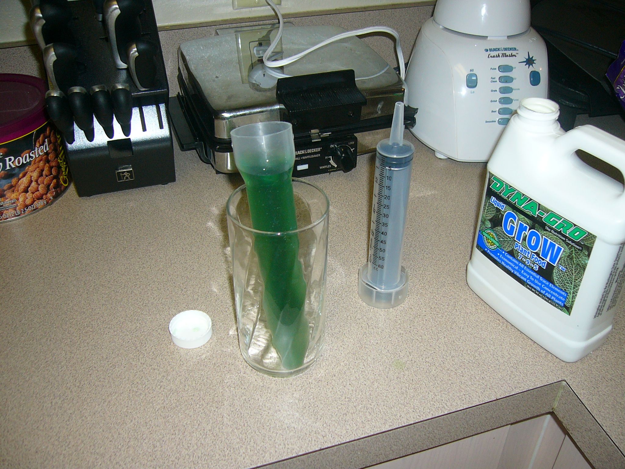 Hydroponics - at Home and for Beginners : 11 Steps (with Pictures ...