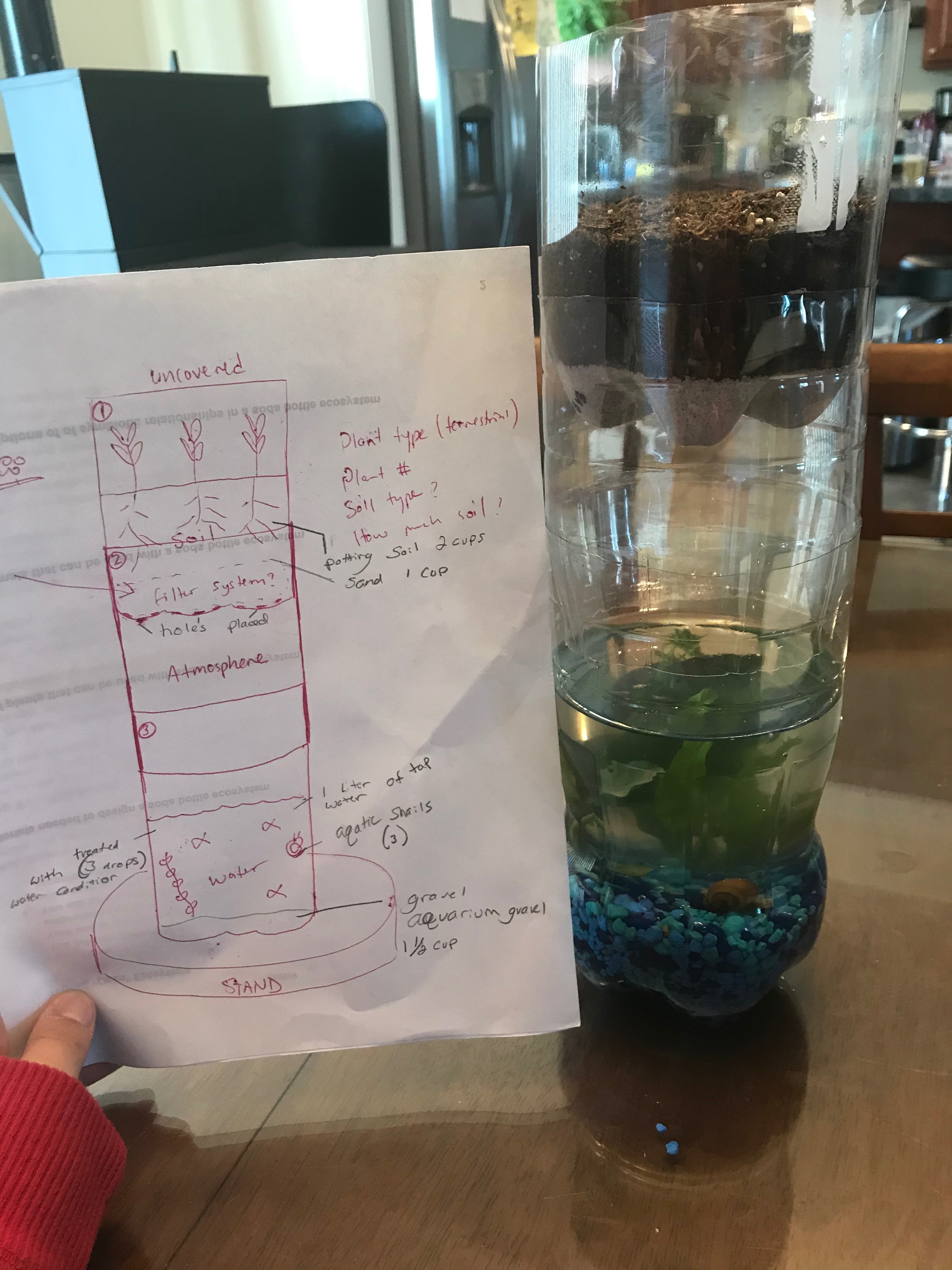 Ecosystem in a Bottle : 11 Steps (with Pictures) - Instructables