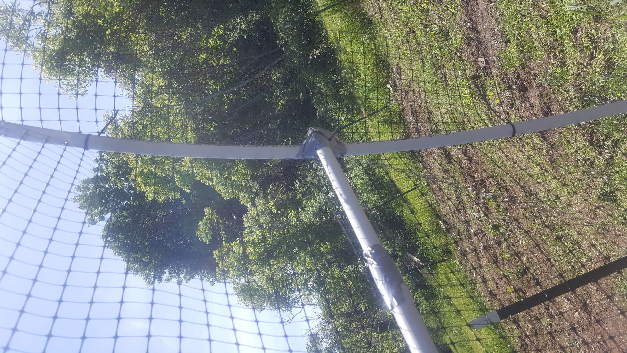 Easy Upcycled Raised Beds With Deer Screen : 5 Steps (with Pictures ...