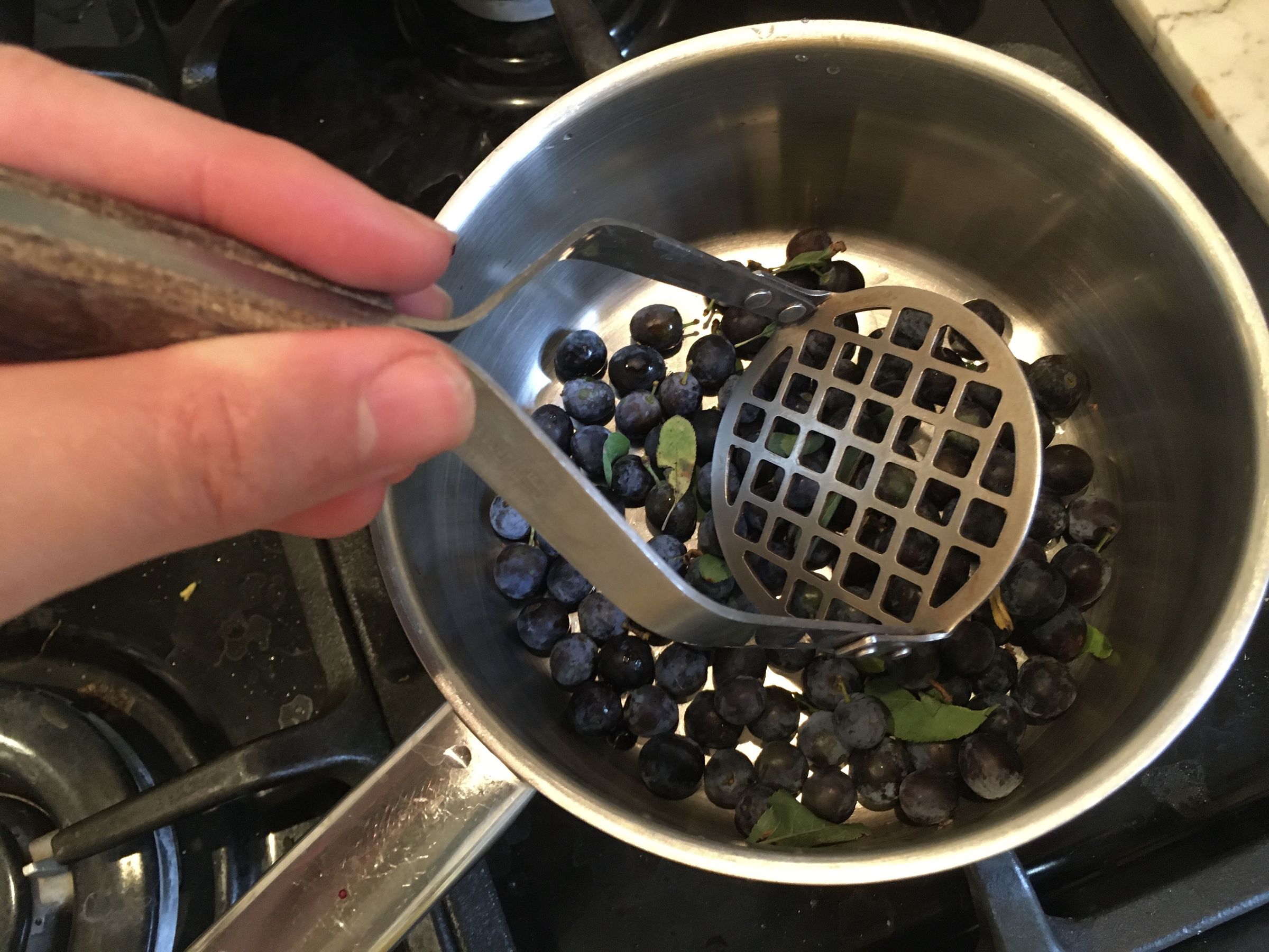 Home Made Ink From Nature: Perfect Purples : 18 Steps (with Pictures ...