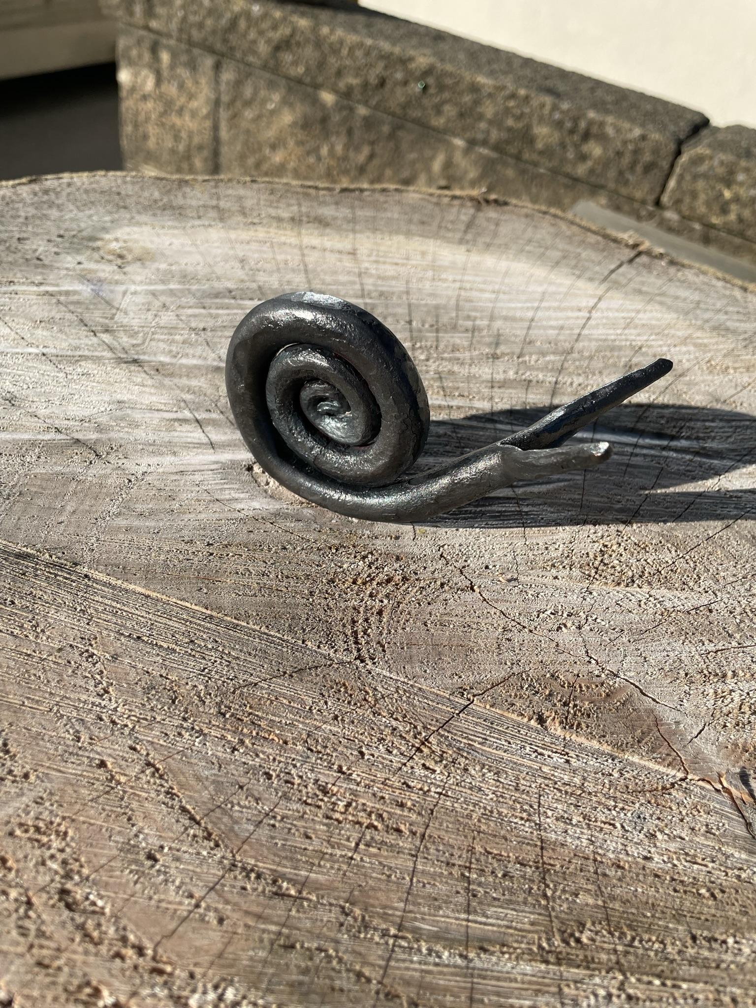 A Snail - With a Spring in It's Step : 8 Steps (with Pictures ...