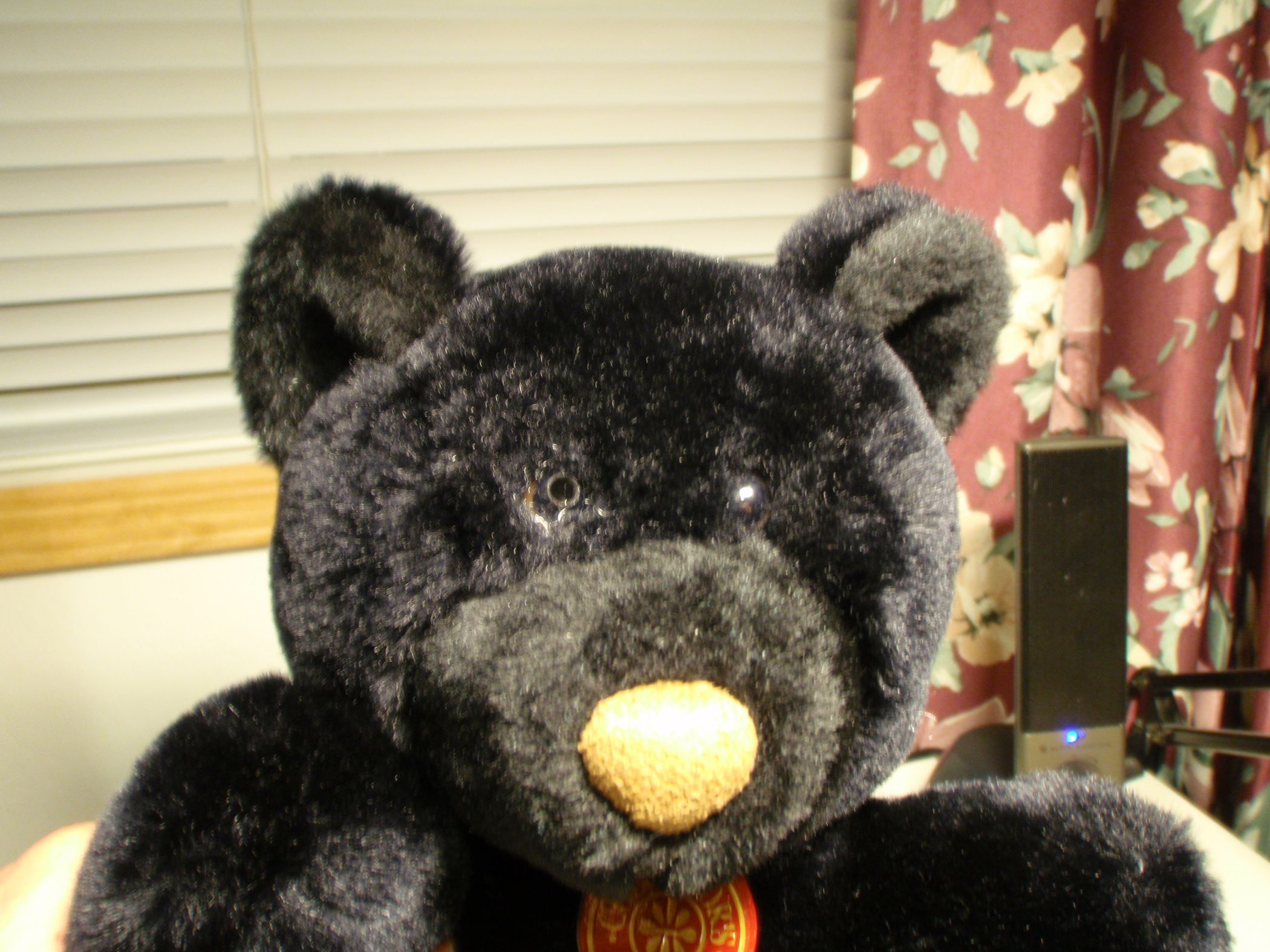 Build a Webcam Teddy Bear : 7 Steps (with Pictures) - Instructables
