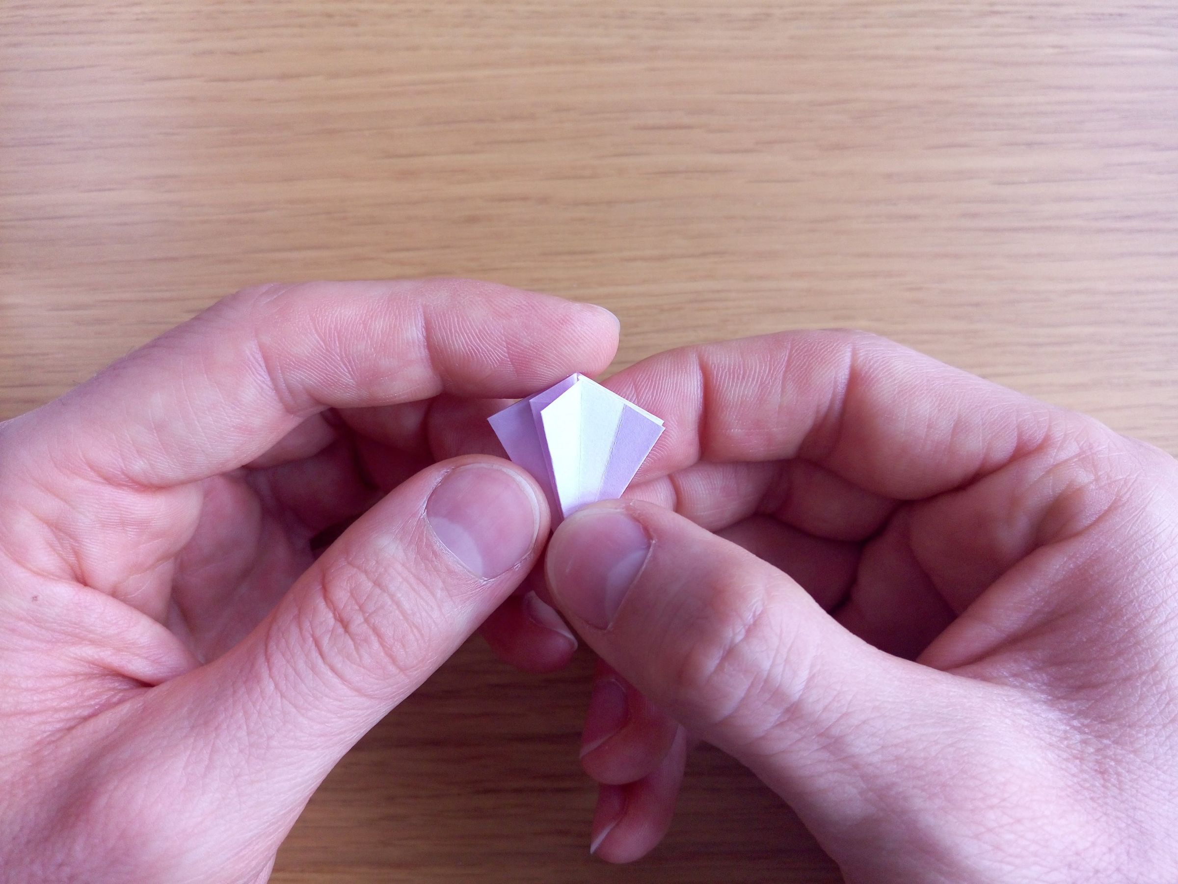 Origami Hyacinth : 9 Steps (with Pictures) - Instructables