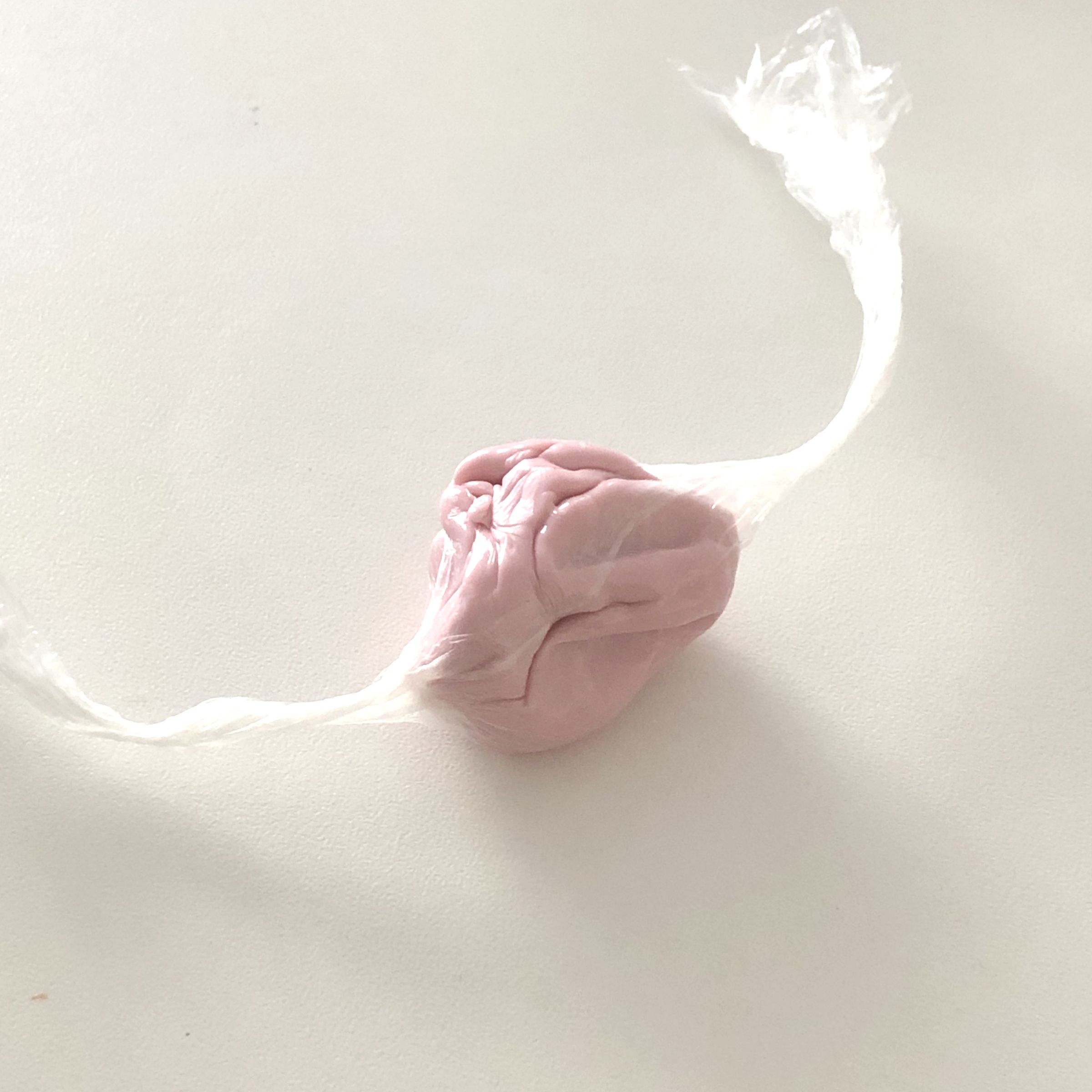 Fake Chewing Gum Container : 5 Steps (with Pictures) - Instructables