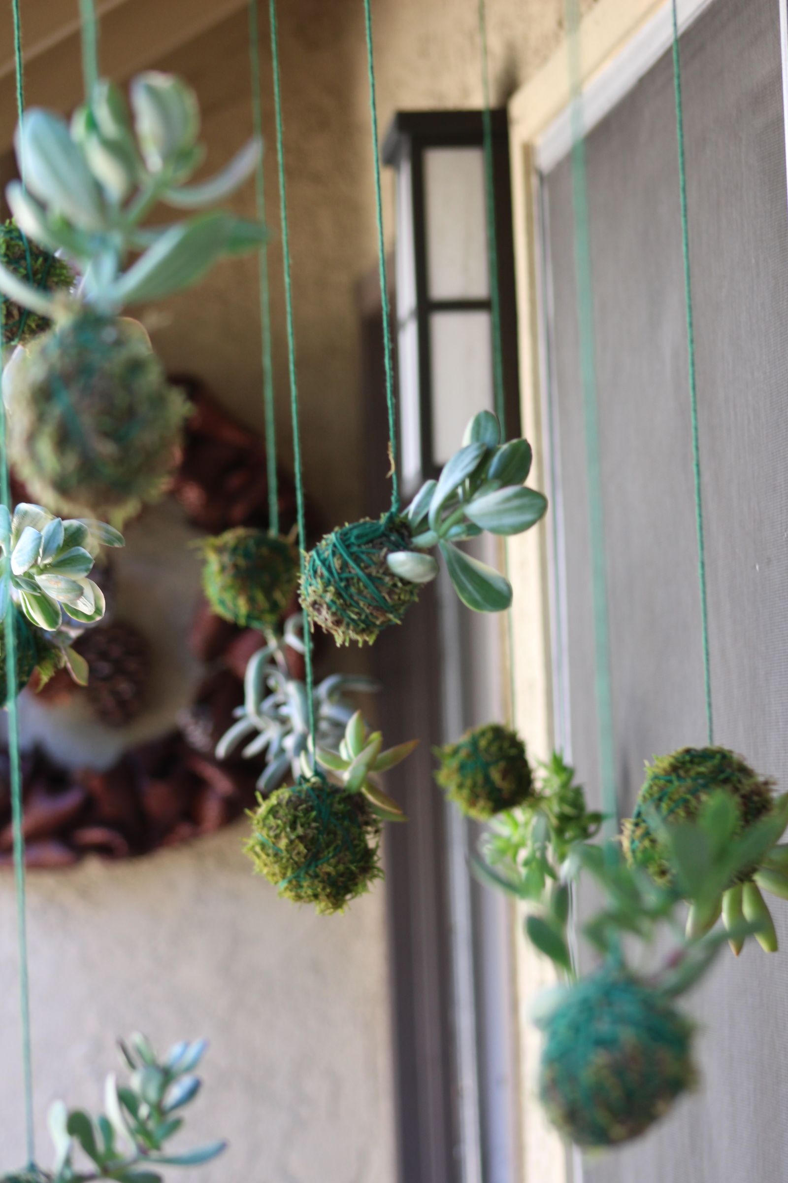 My String Garden : 3 Steps (with Pictures) - Instructables