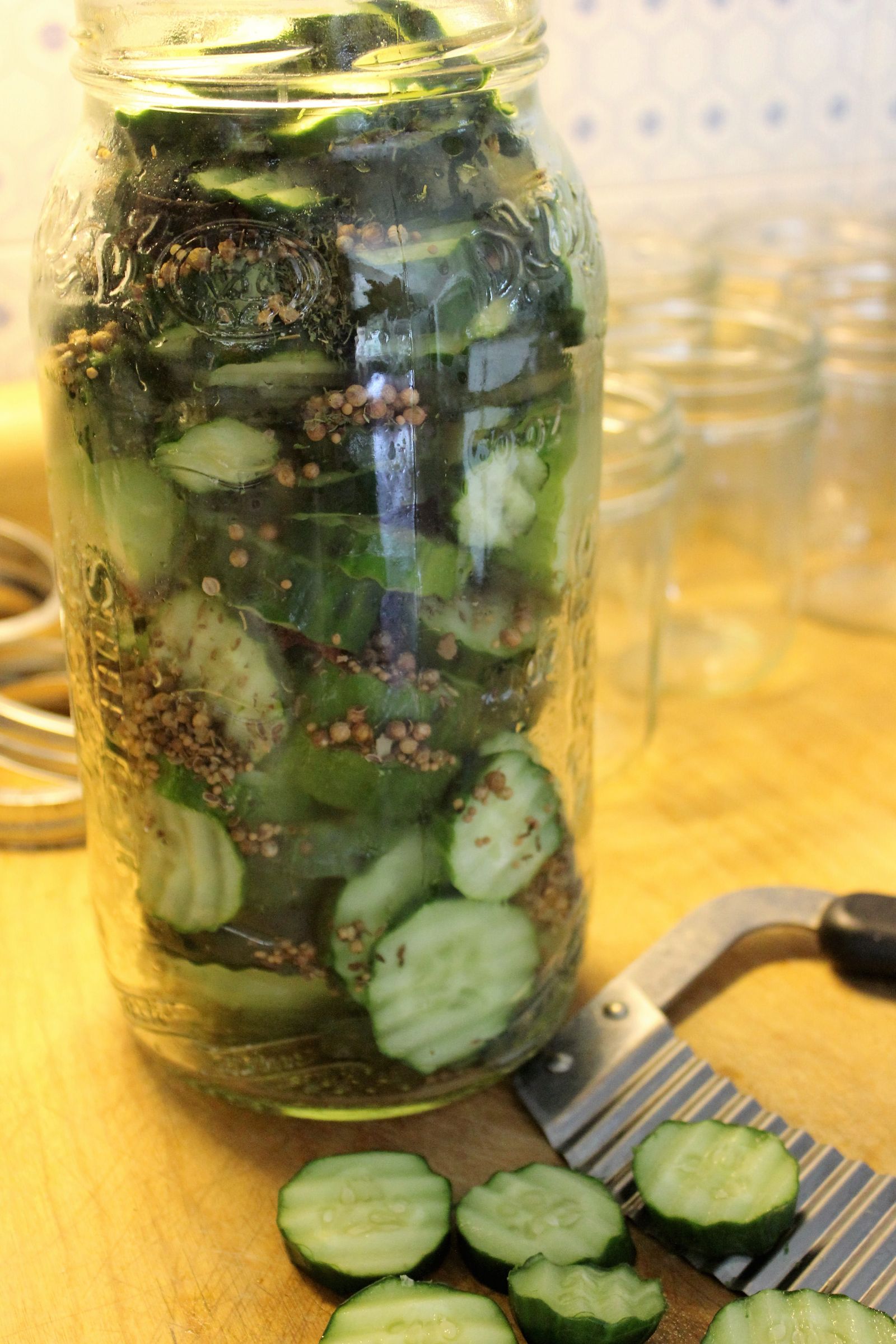 How to Preserve Cucumbers : 3 Steps (with Pictures) - Instructables