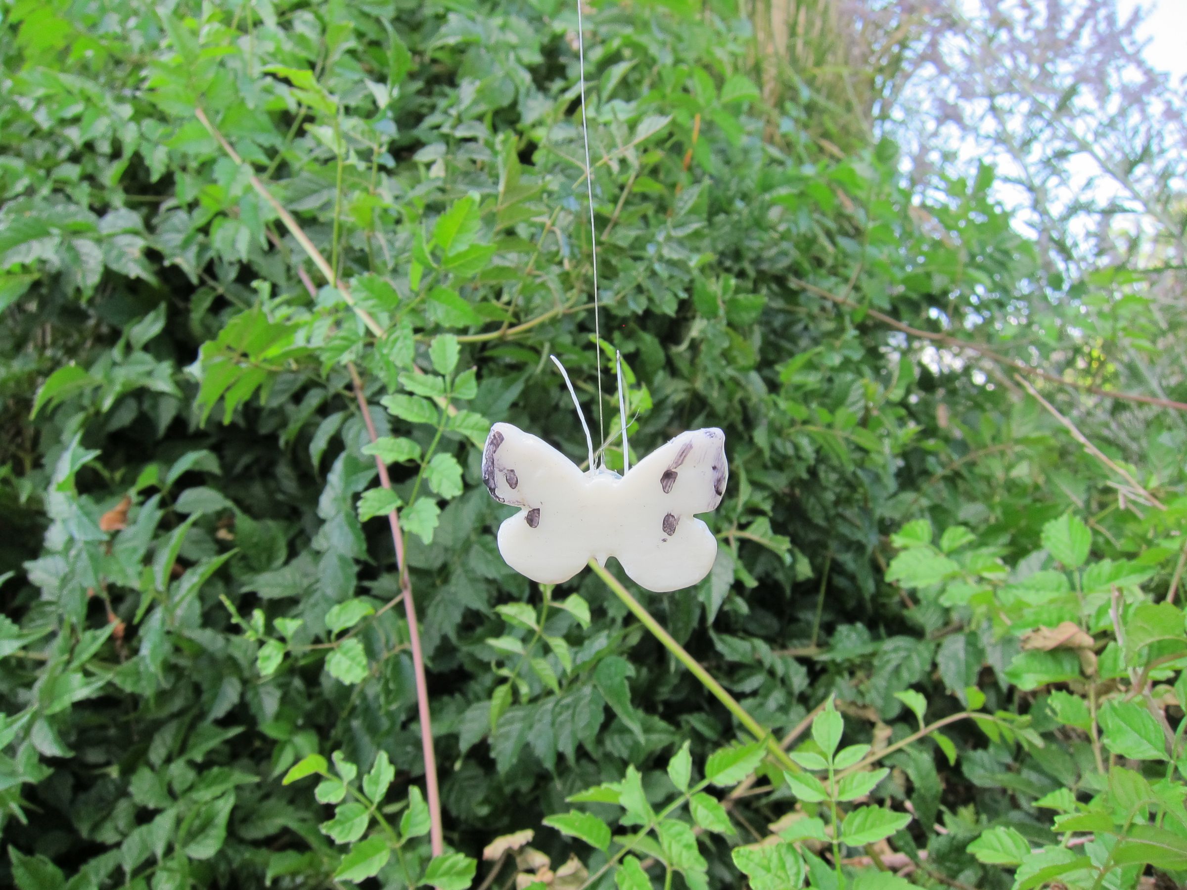 3D Printing a Cabbage Moth / Butterfly Decoy to Save Your Cabbage : 6 ...