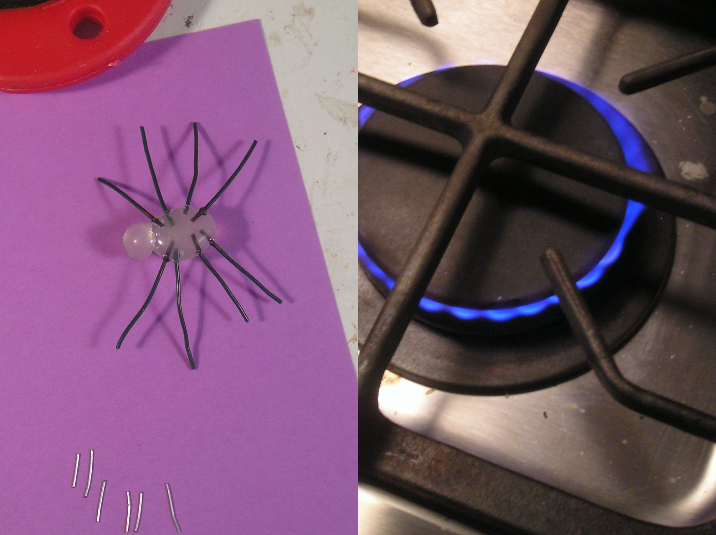 How to Make Glue Bugs : 9 Steps (with Pictures) - Instructables