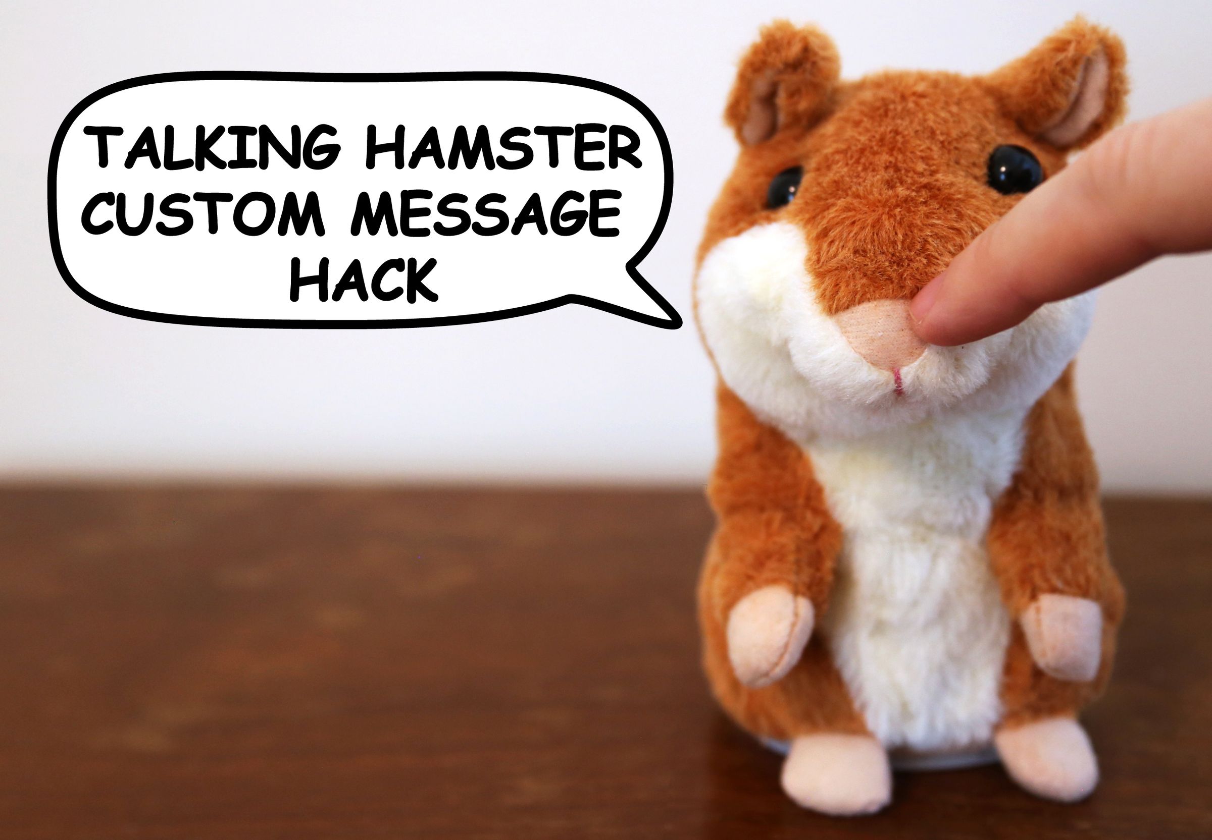 Talking Hamster Hack : 19 Steps (with Pictures) - Instructables