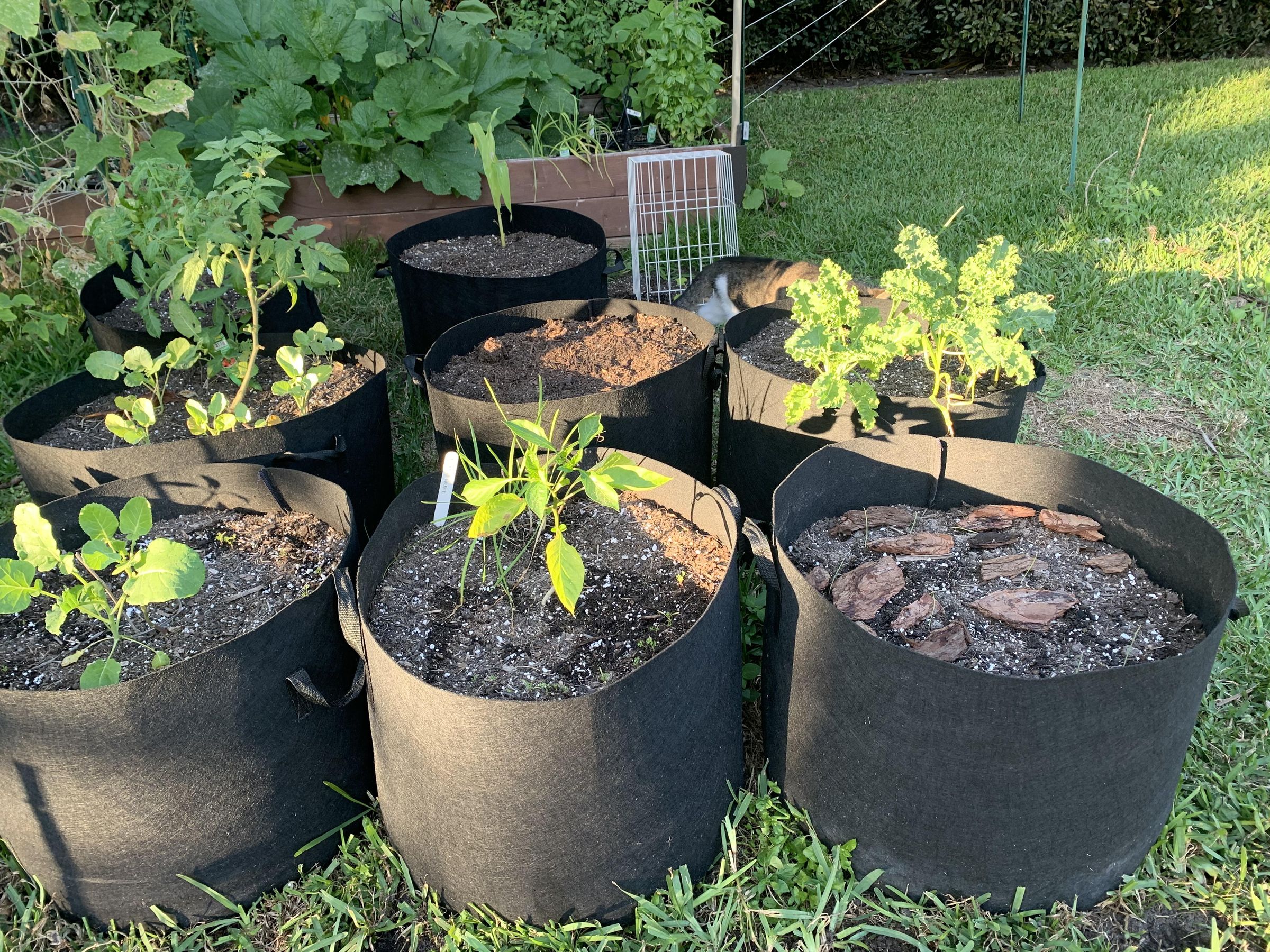 How to Create a Garden : 10 Steps (with Pictures) - Instructables