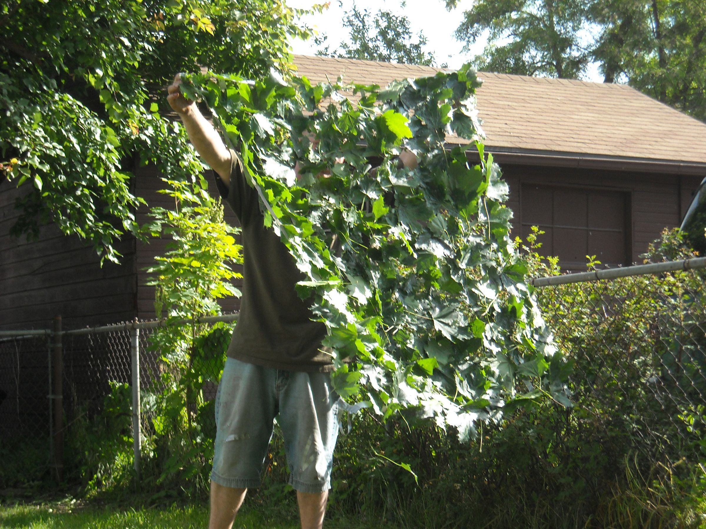 Camouflage Net : 7 Steps (with Pictures) - Instructables