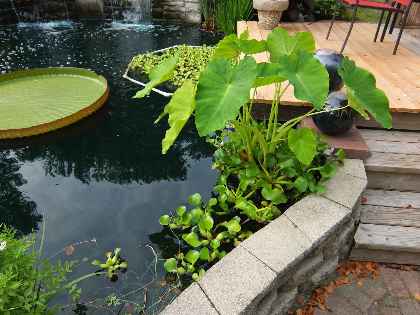 Pond Planter From a Milk Crate : 4 Steps (with Pictures) - Instructables