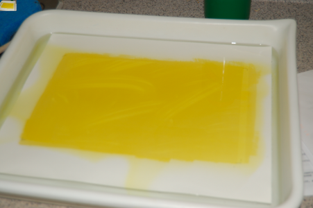 Tri-color Gum Bichromate Prints From Digital Images : 13 Steps (with ...