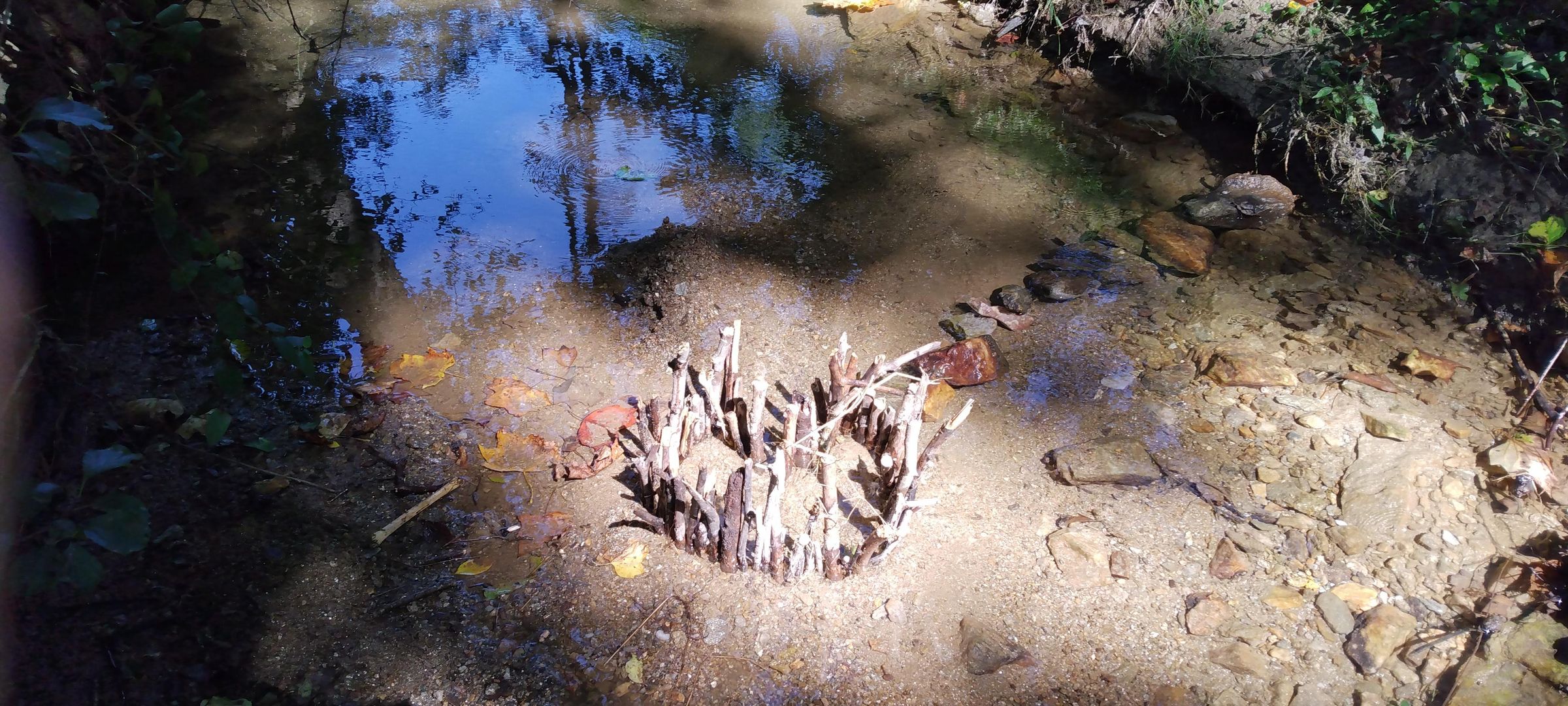 Primitive Fish Trap : 5 Steps - Instructables