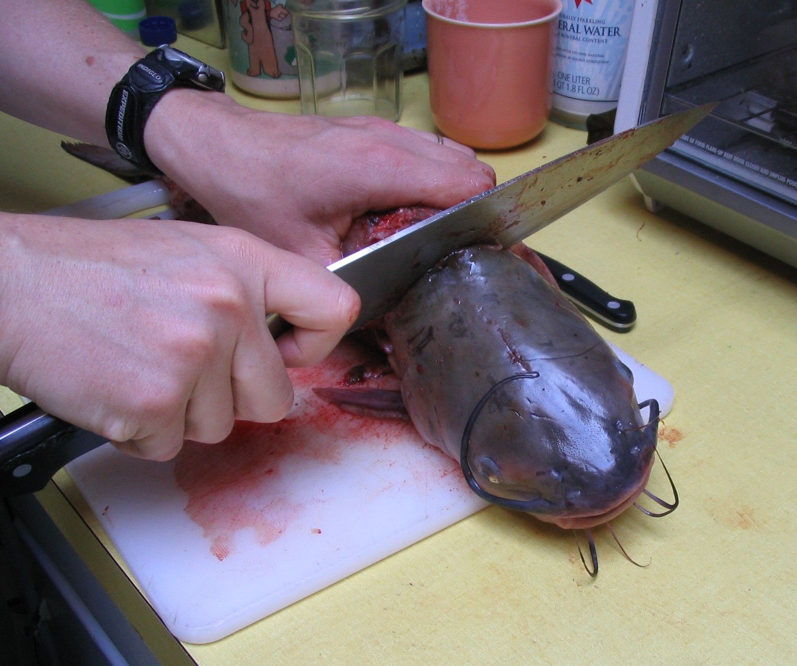 Skinning and Filleting Catfish : 13 Steps (with Pictures) - Instructables