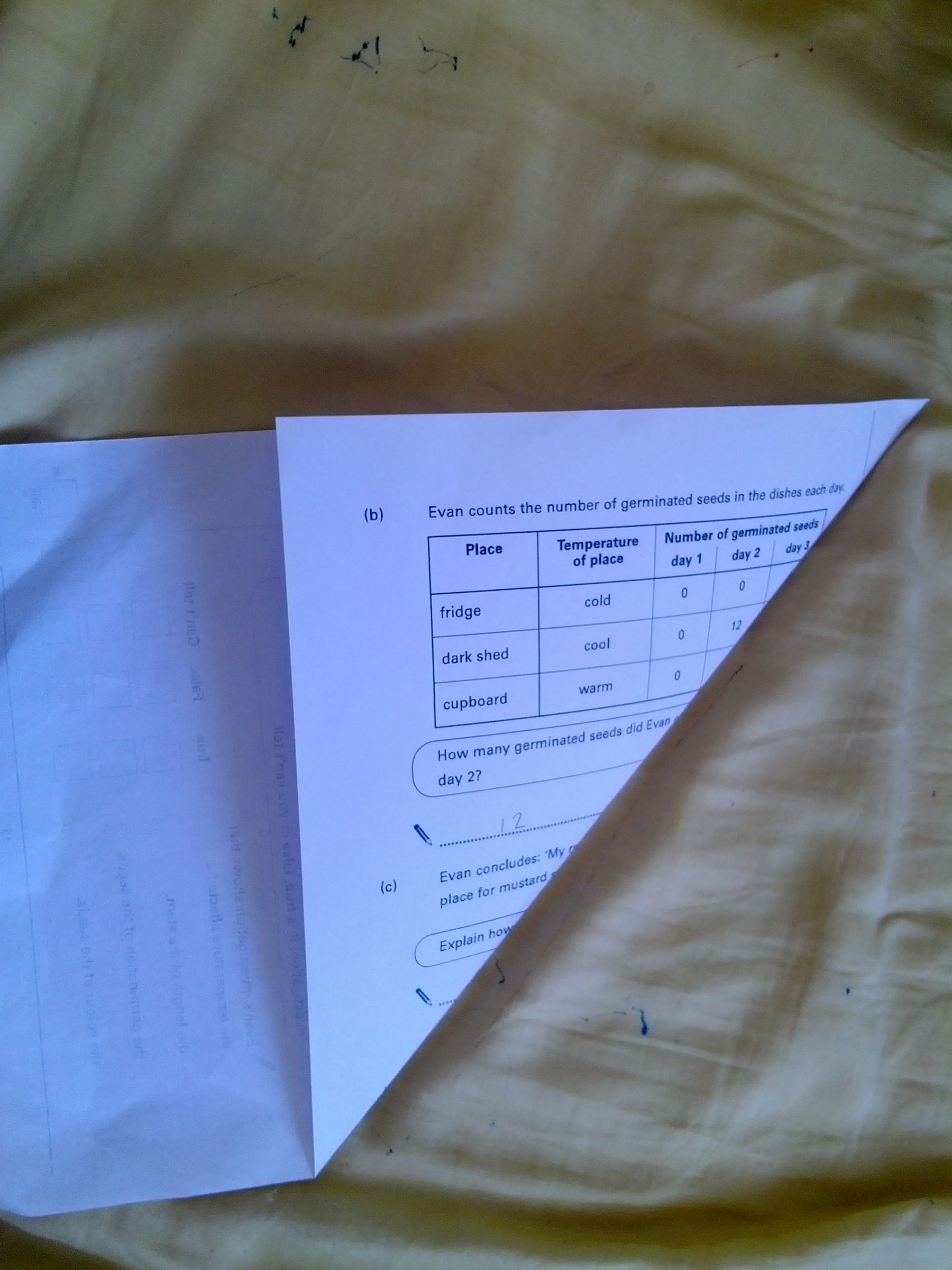 DC3 Paper Airplane-The King of the Paper Gliders : 36 Steps - Instructables