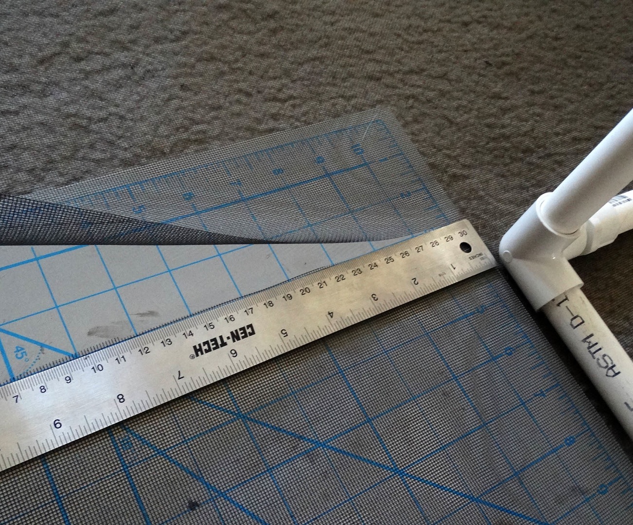 Raising Giant Silk Moths : 15 Steps (with Pictures) - Instructables