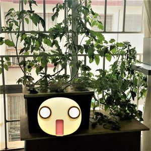 Basics of Hydroponics System - Floating Root Technique : 8 Steps (with ...