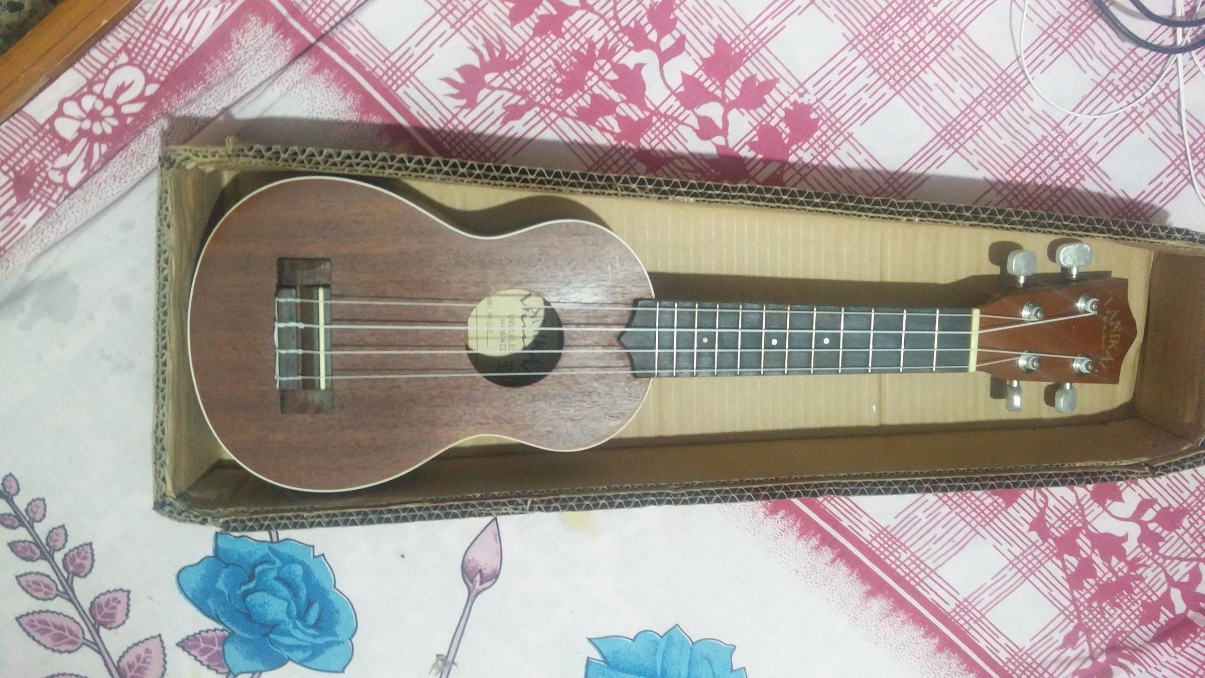 The Cardboard Ukulele Case : 10 Steps (with Pictures) - Instructables