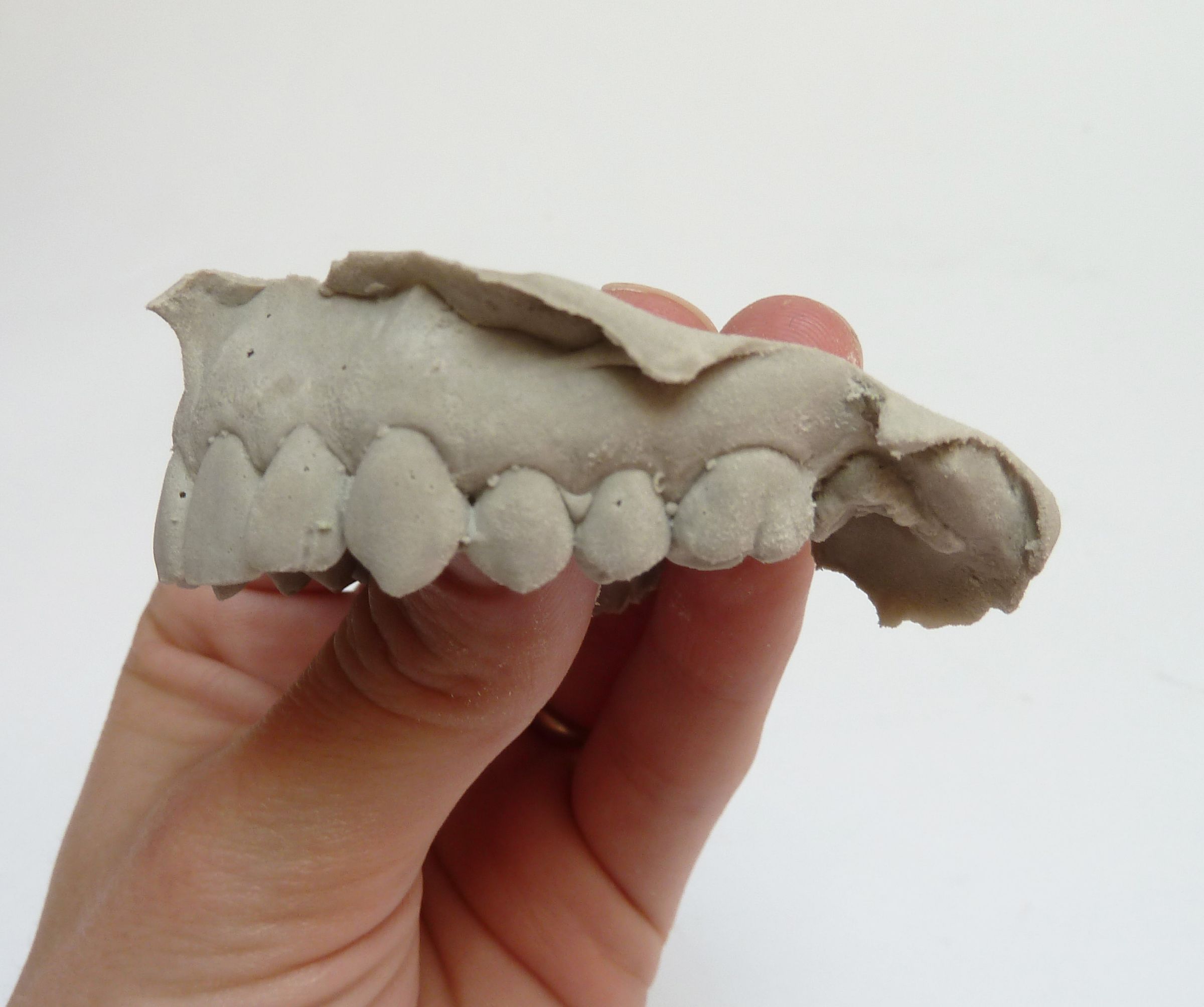 Cast Your Teeth for Halloween : 4 Steps (with Pictures) - Instructables