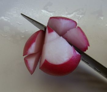 Easy Decorative Rose Radishes : 9 Steps (with Pictures) - Instructables