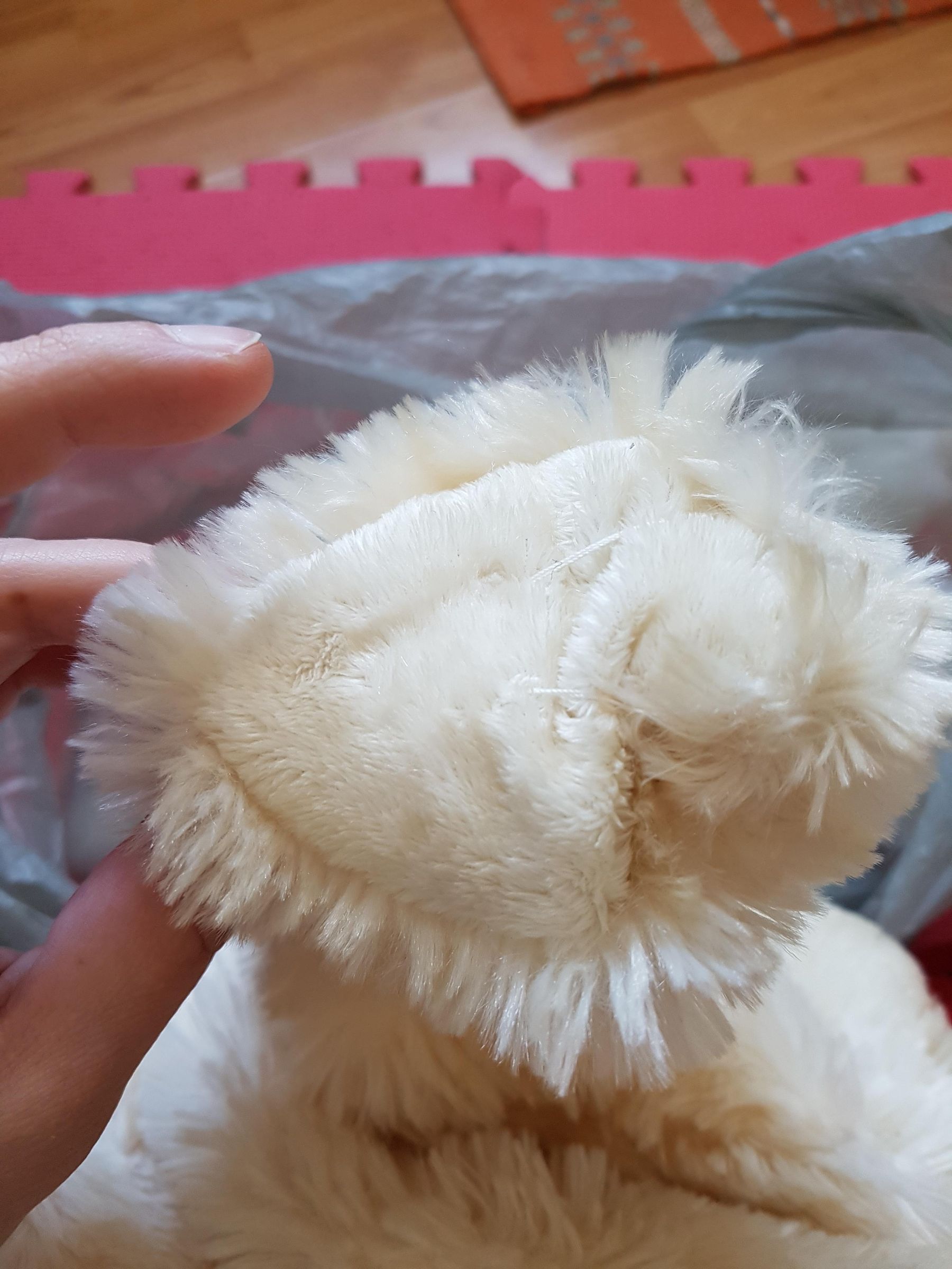 Turn Your Pet Into a Real Life Teddy Bear : 7 Steps (with Pictures ...