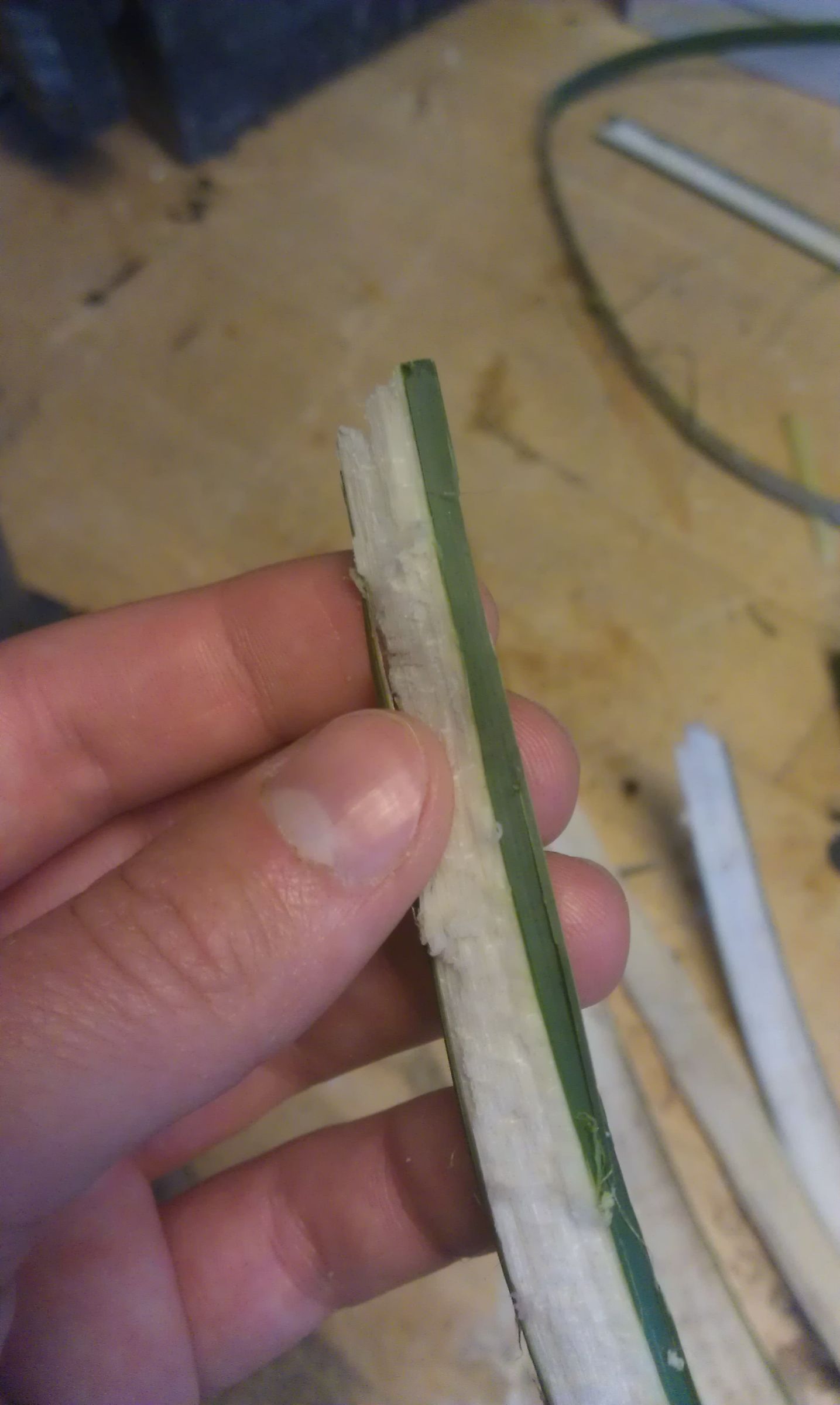 How to Make Papyrus Paper : 7 Steps (with Pictures) - Instructables