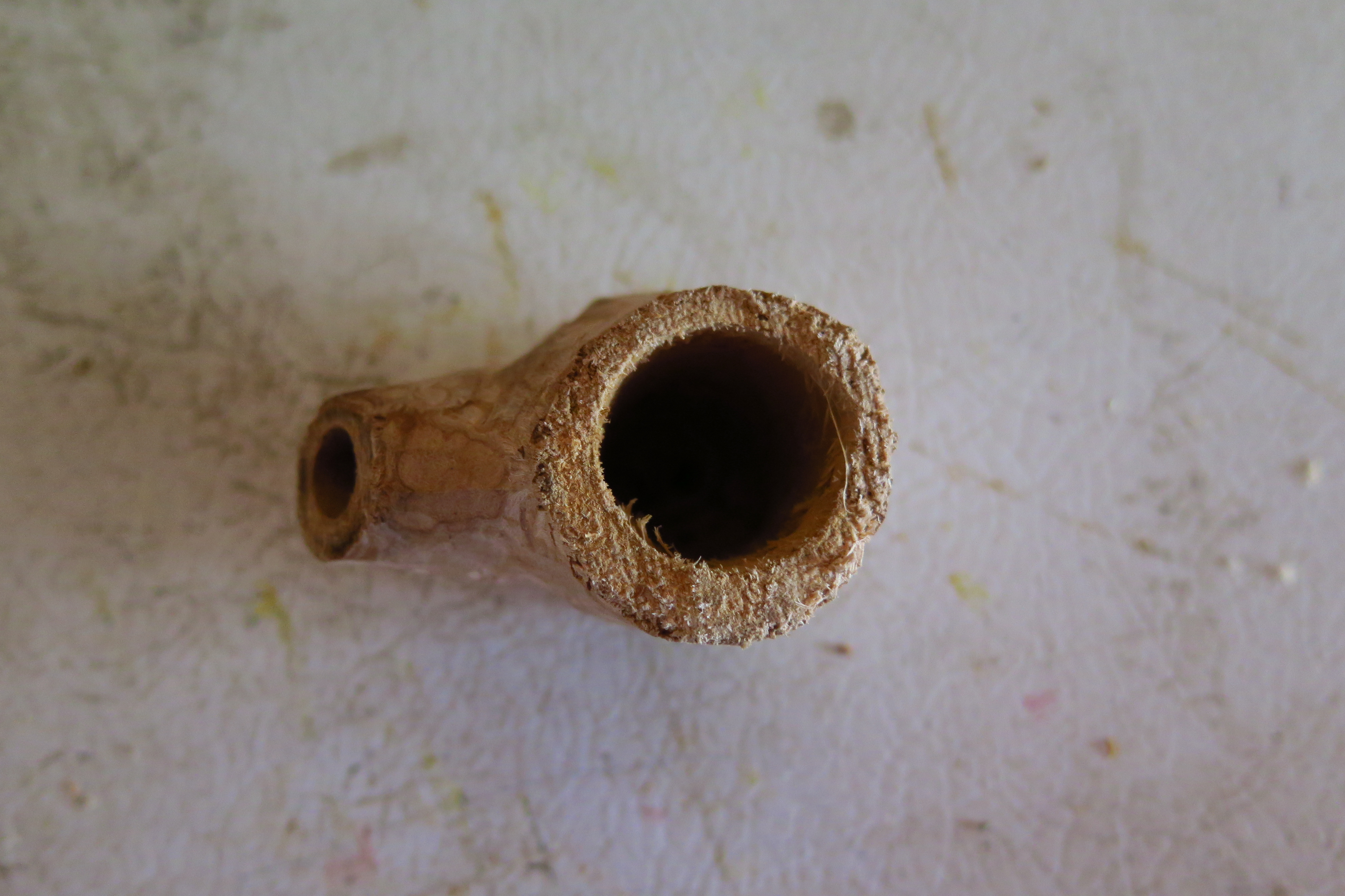 Awesome Tree Branch Pipe : 9 Steps - Instructables