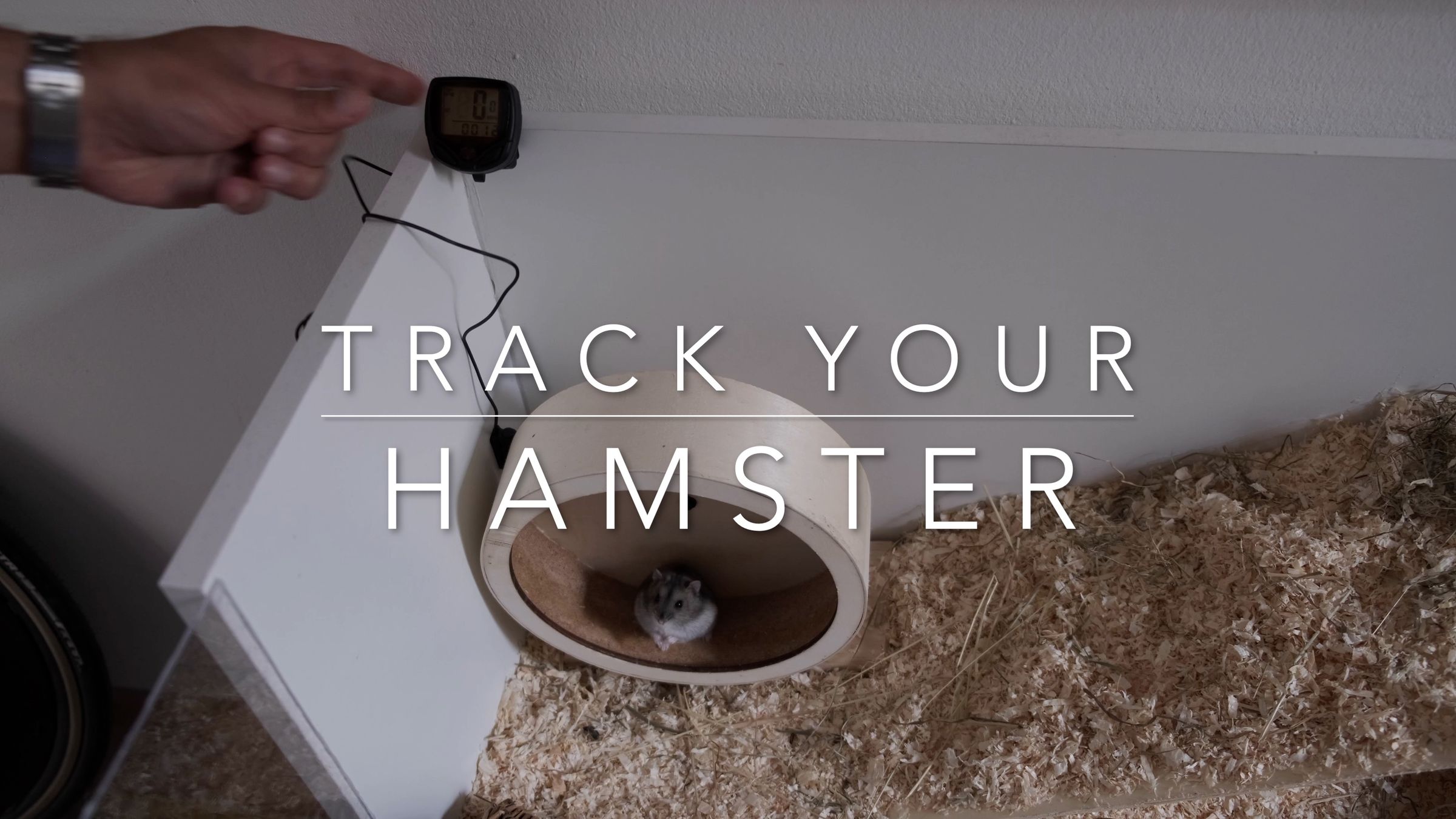 How to Track Your Hamster Wheel : 3 Steps - Instructables