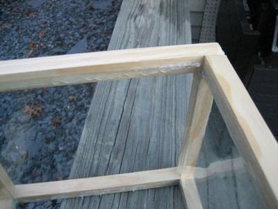 Countertop Greenhouse : 5 Steps (with Pictures) - Instructables