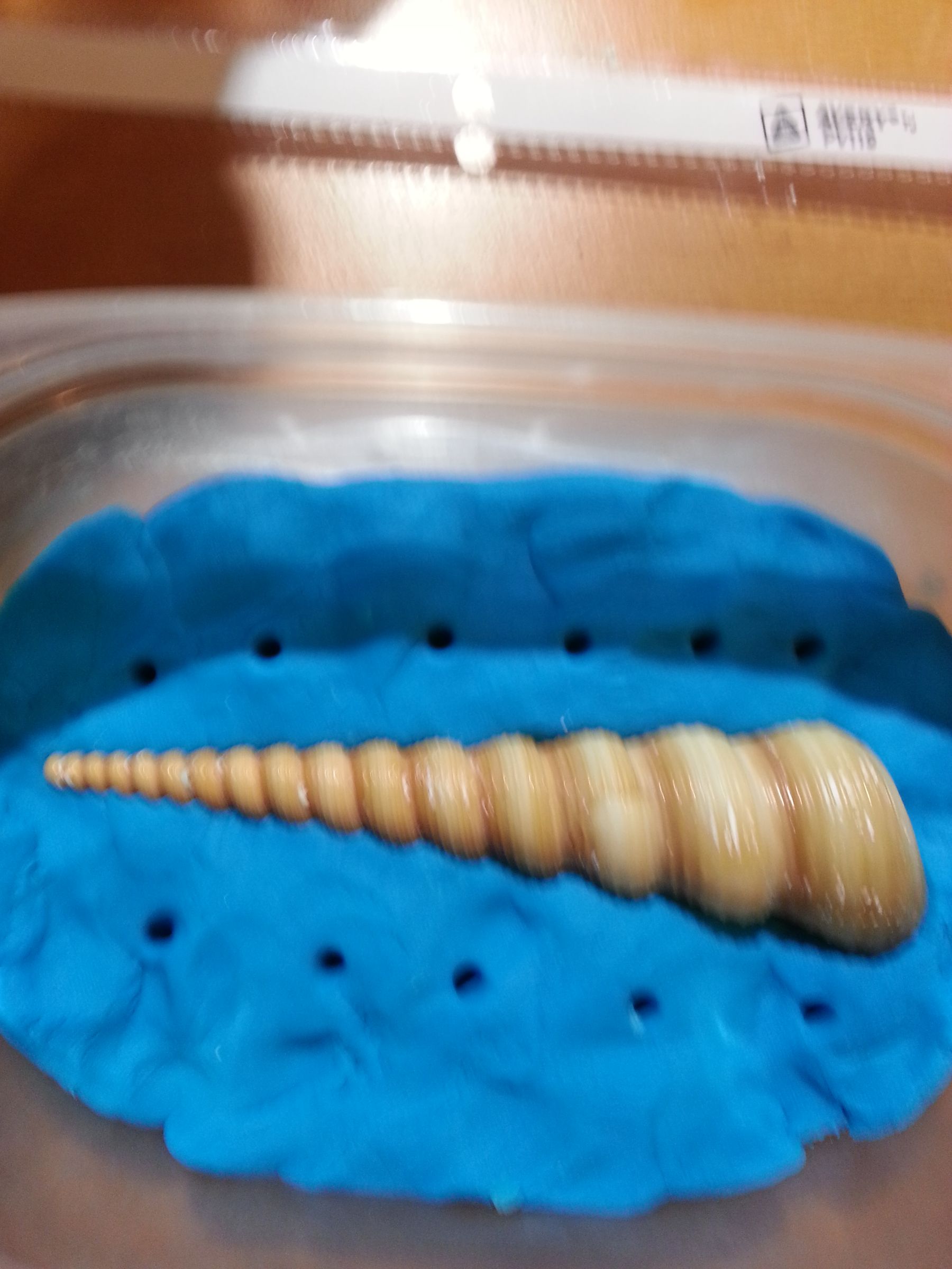 Make a Two Part Reusable Mold Using Plaster : 9 Steps - Instructables