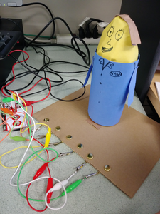 Biography Bottles With Makey Makey : 4 Steps - Instructables