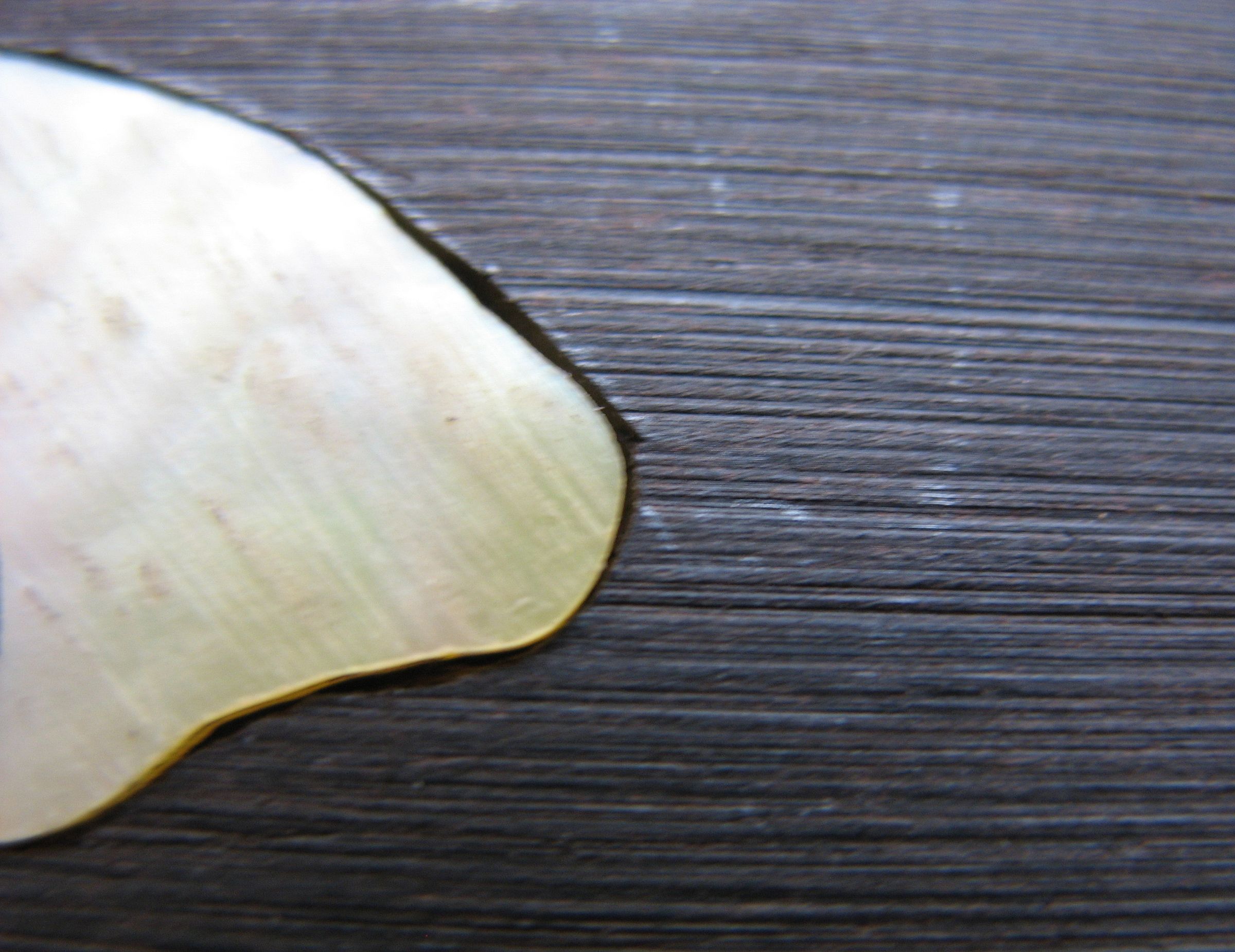 Handcut Inlay : 10 Steps (with Pictures) - Instructables