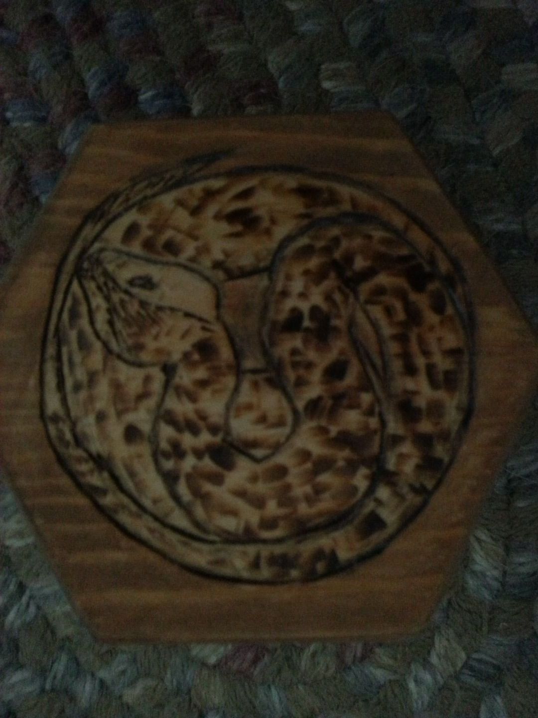 First Time Wood Burning : 7 Steps - Instructables