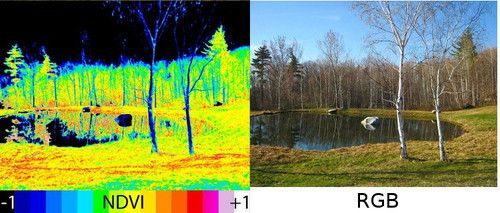 DIY Infrared Plant Analysis : 5 Steps - Instructables