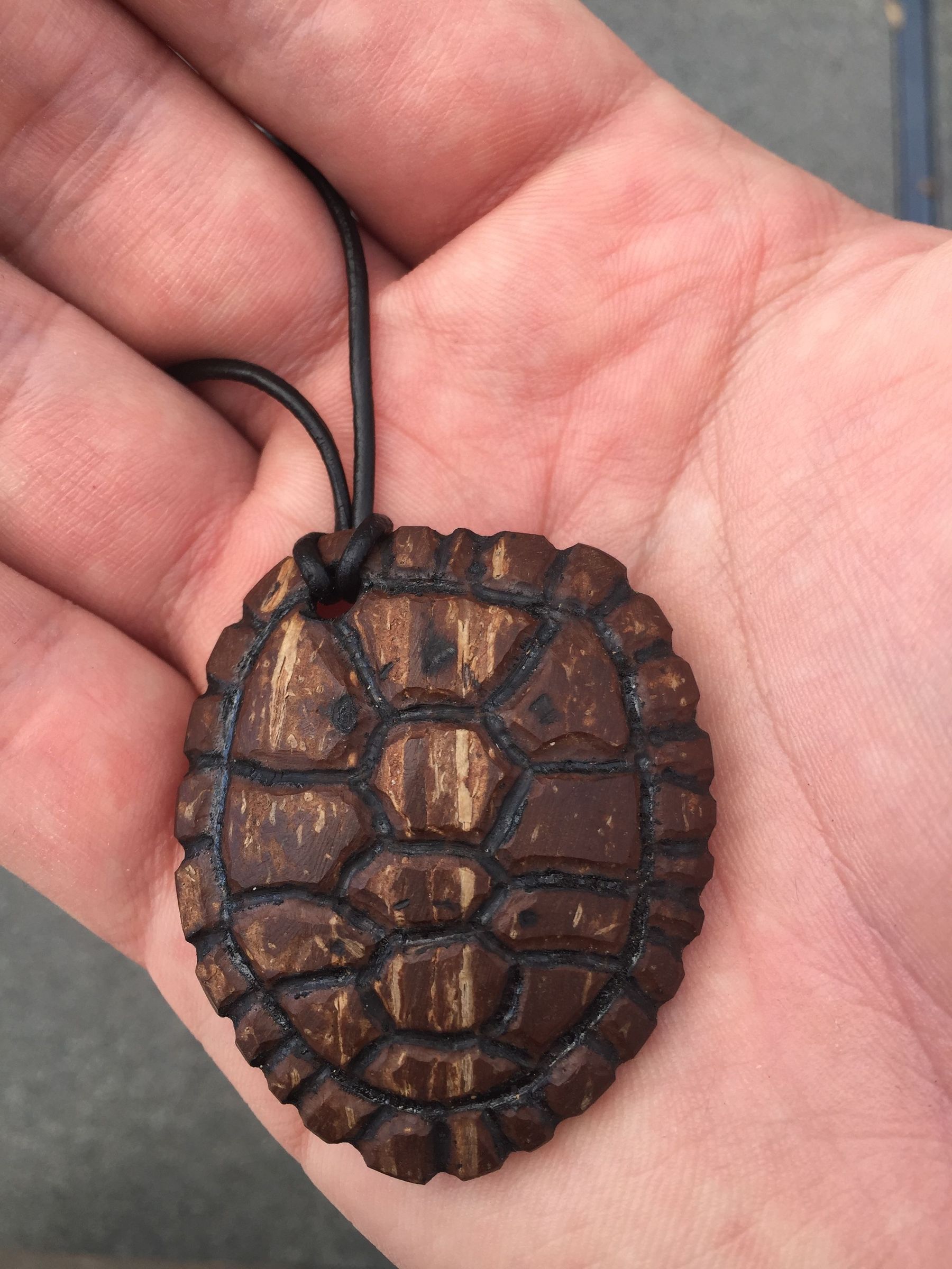 Turtle Shell From Coconut : 6 Steps (with Pictures) - Instructables