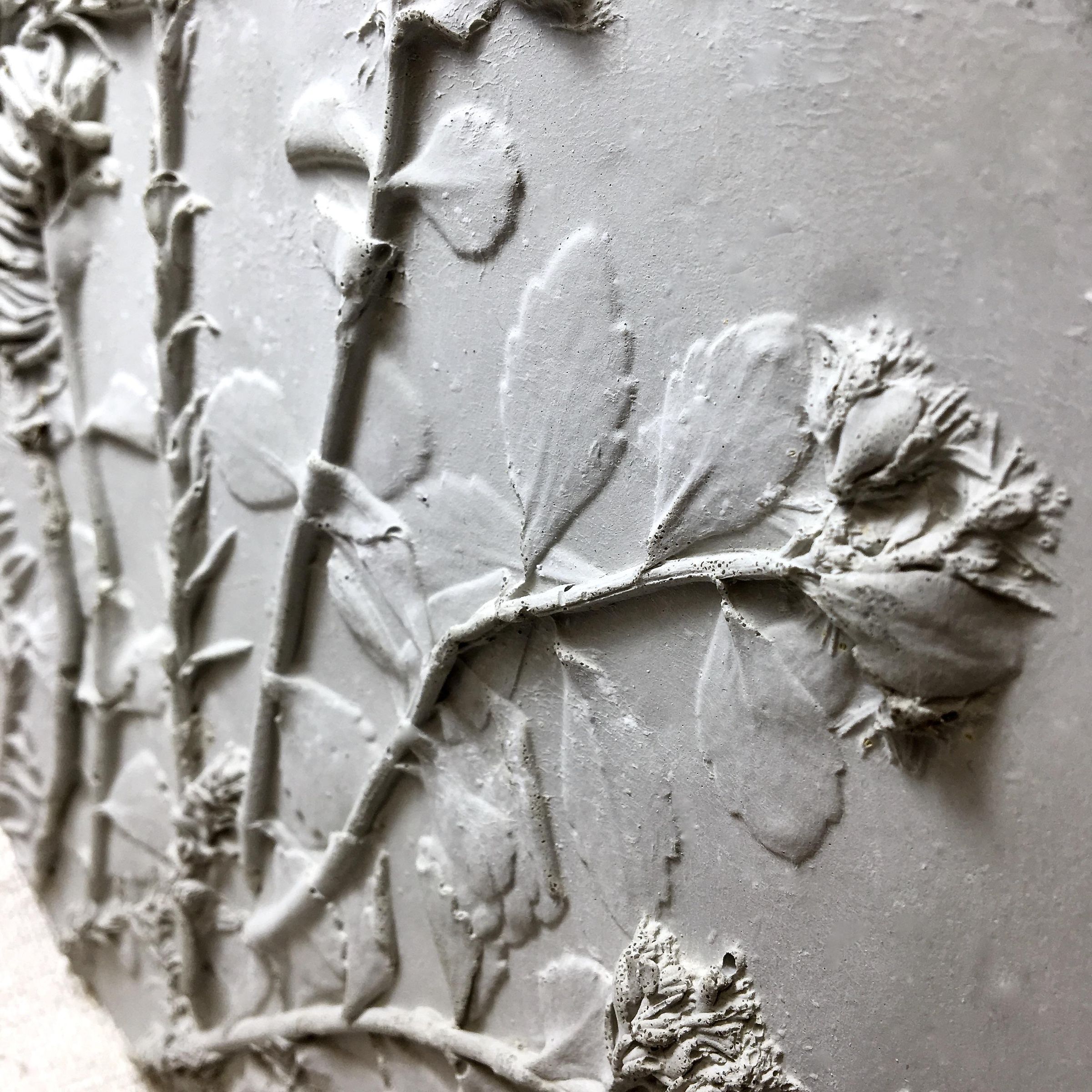 Concrete Relief-Cast Botanical Specimens : 6 Steps (with Pictures ...