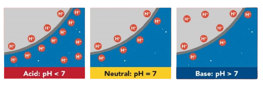 Assistive Aquaponics Fish Tank : 15 Steps (with Pictures) - Instructables