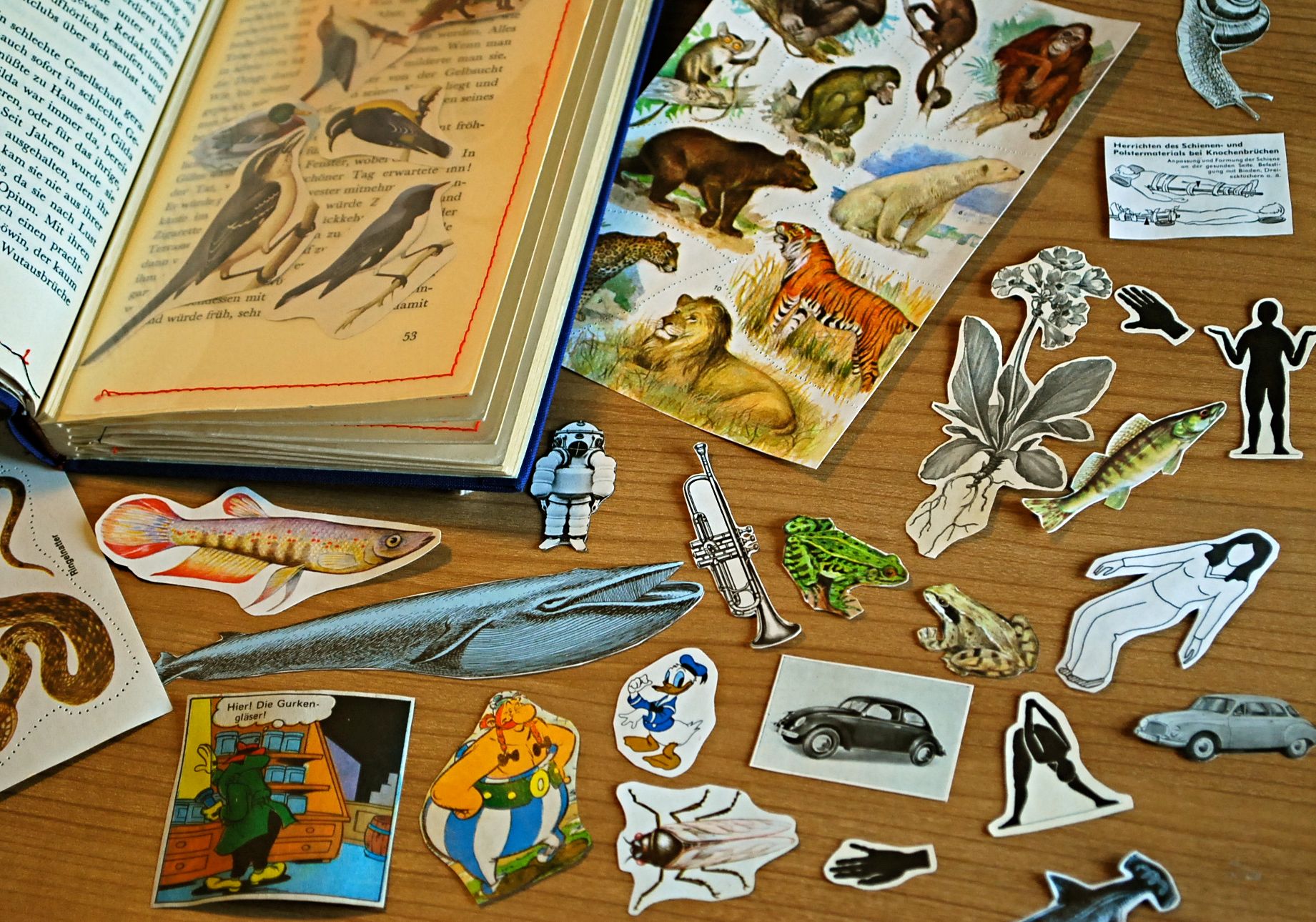 Recycle Old Books Into Stickers : 11 Steps (with Pictures) - Instructables