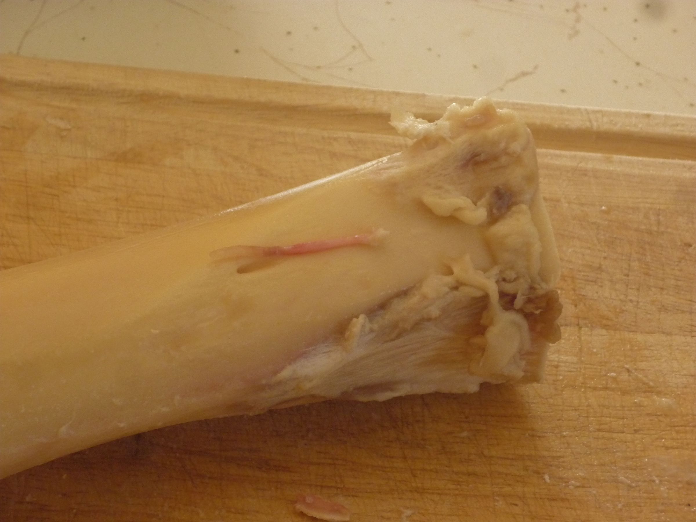 Prepare Bone for Carving : 8 Steps - Instructables