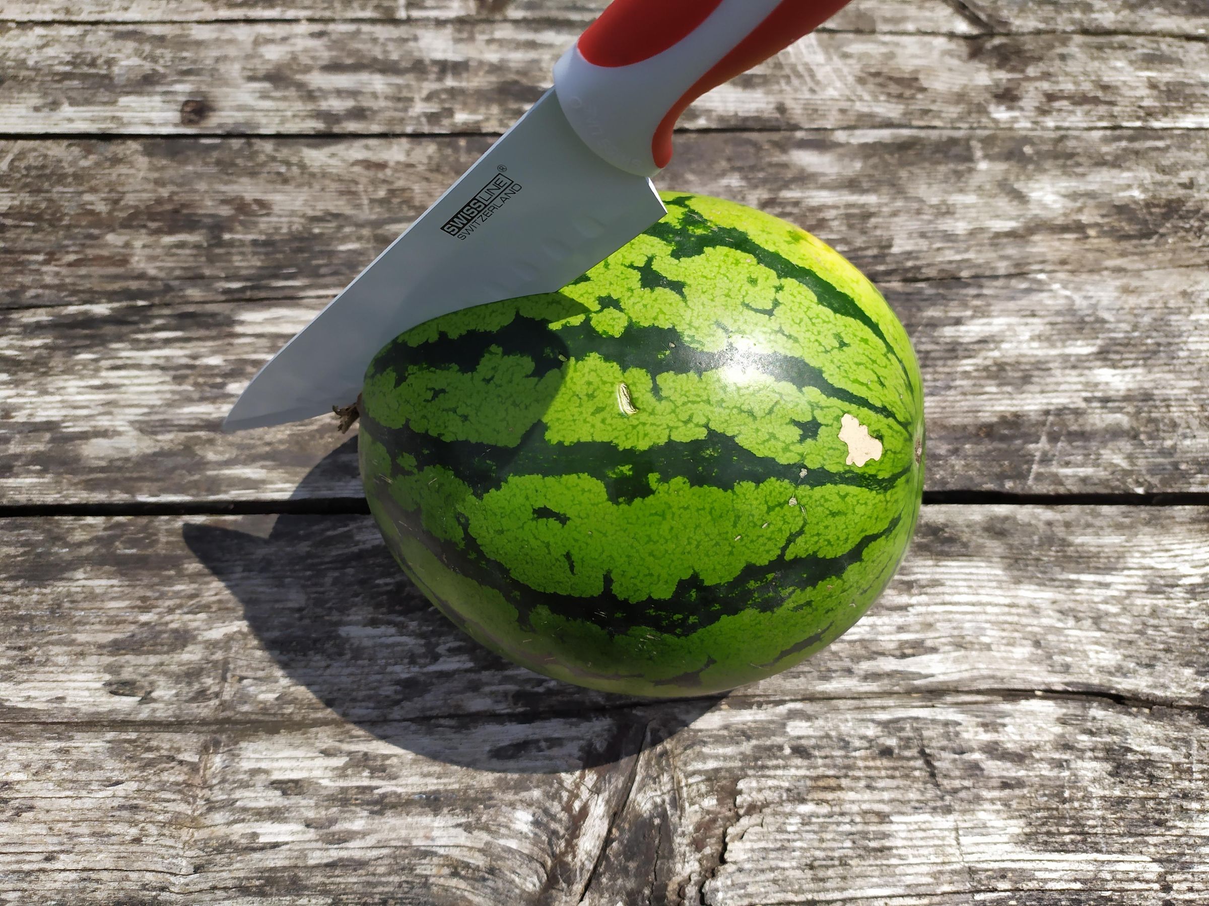 Watermelon BBQ : 5 Steps (with Pictures) - Instructables