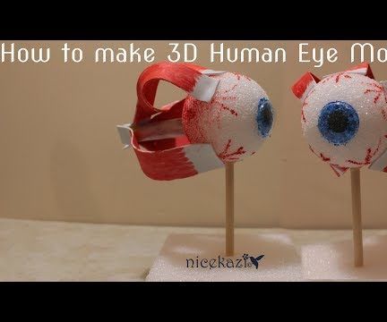 Step by Step How to Make 3d Human Ear Anatomy Model/Diagram : 5 Steps ...