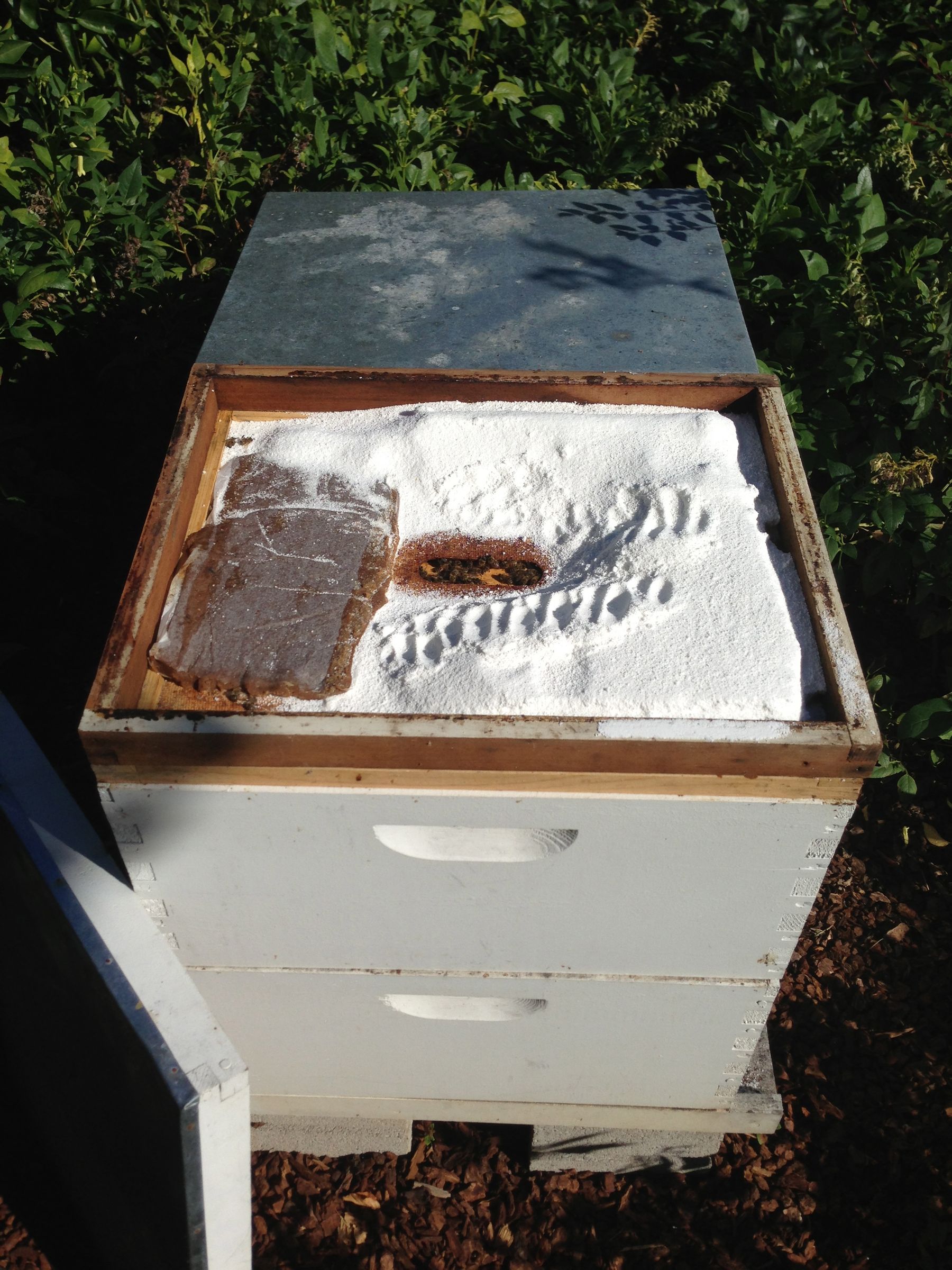 Nucleus Colony -or- How to Start a Beehive : 8 Steps (with Pictures ...
