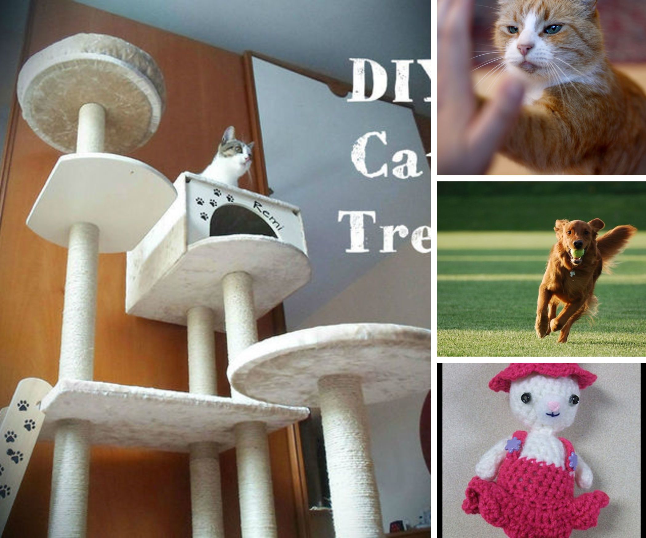 Animals - Instructables