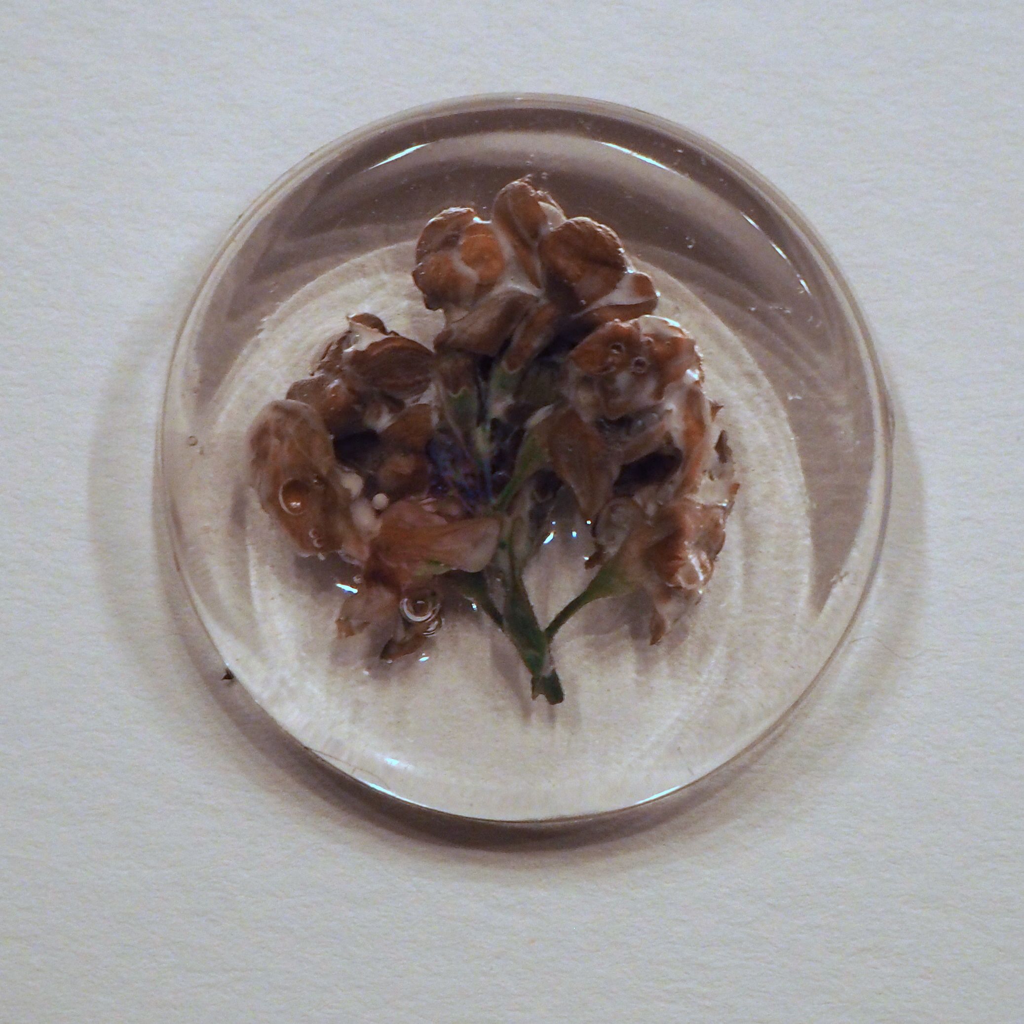 Techniques to Embed Flowers in Resin : 12 Steps (with Pictures ...